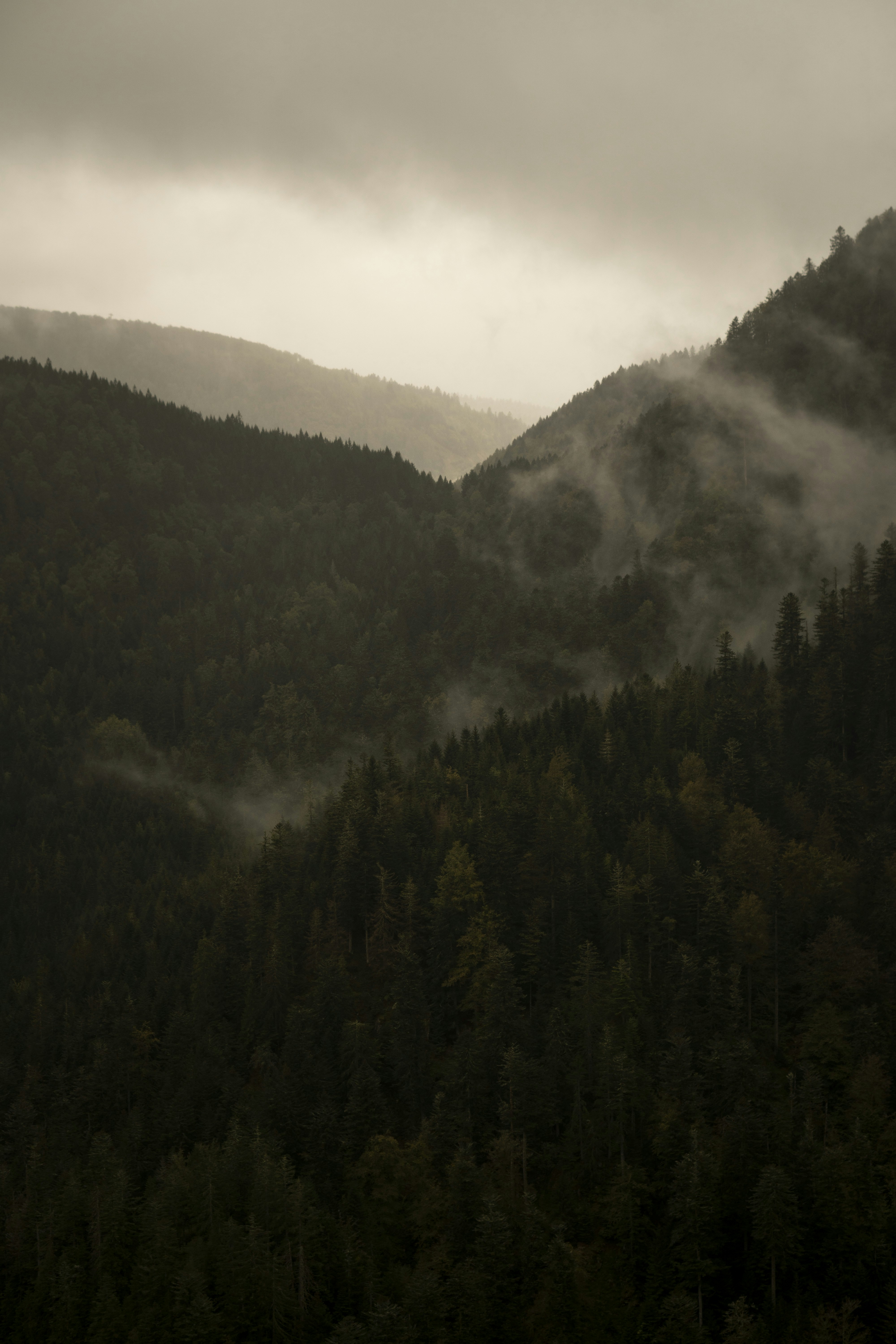 Fog enveloping lush green mountains under a moody sky, creating an atmosphere of tranquility and mystery.
