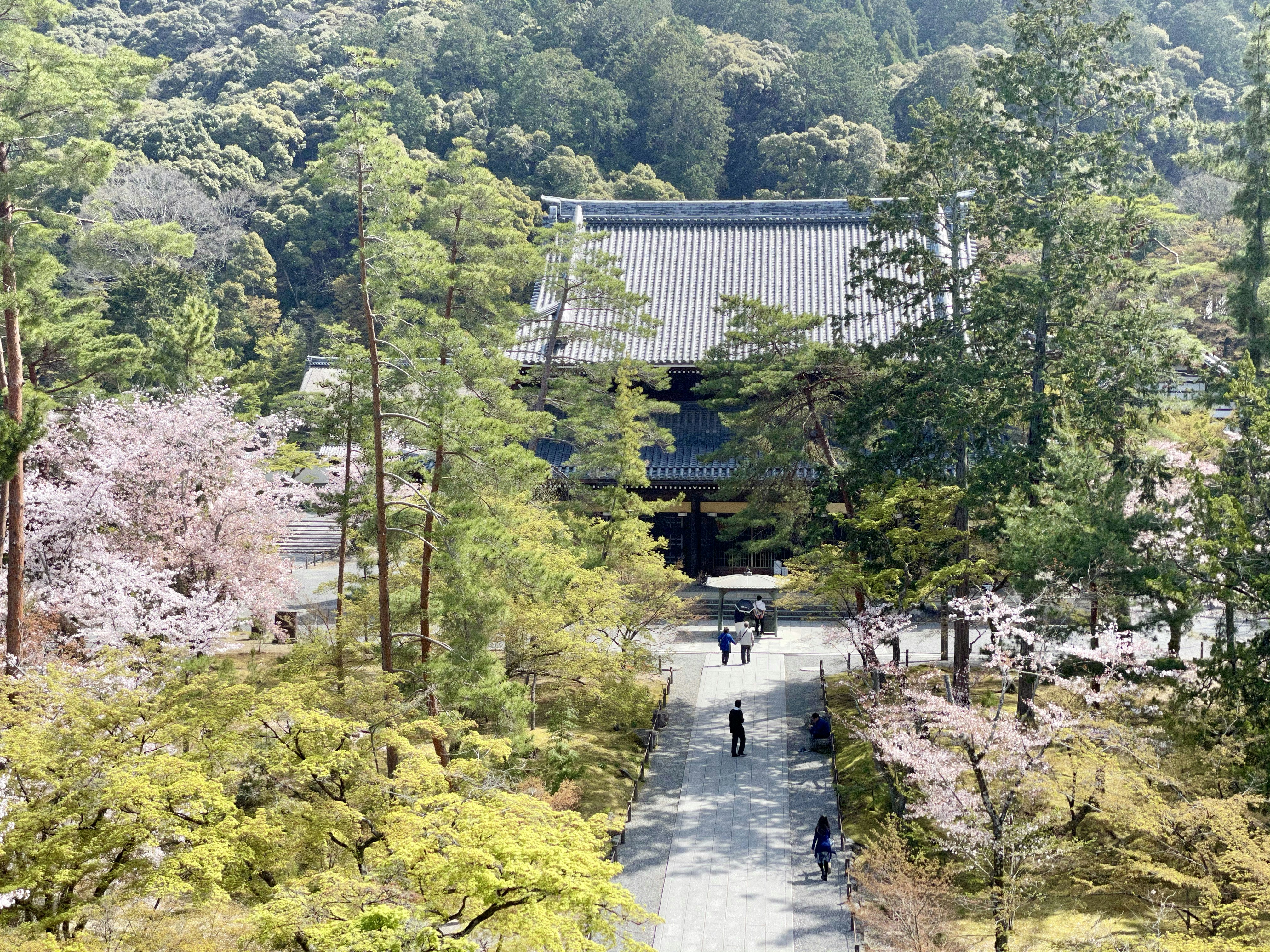 Nanzen-ji temple, kyoto, end of March 2021