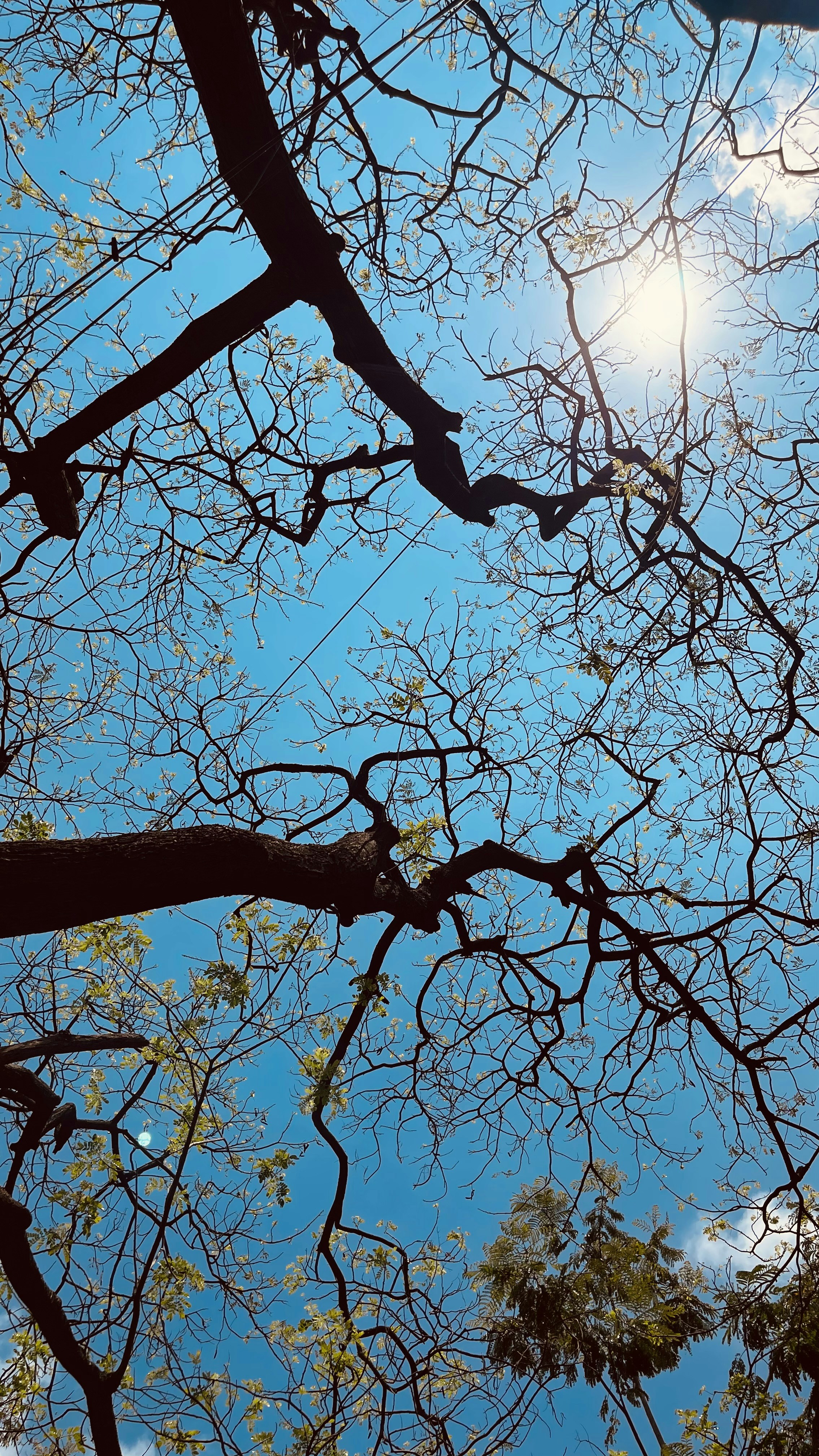 raj Elango (@rajthilake) | Unsplash Photo Community