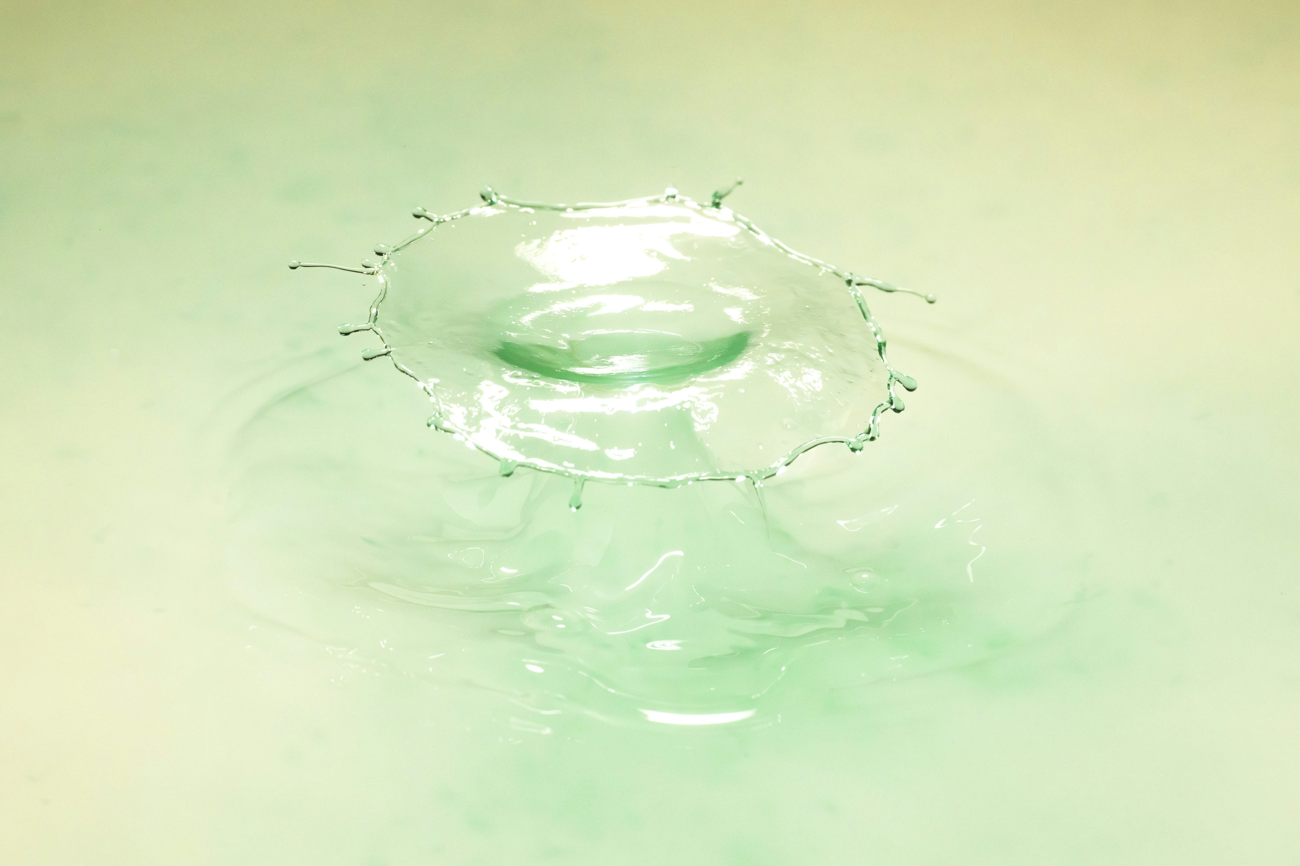 Water drop on green water photo – Free Water Image on Unsplash