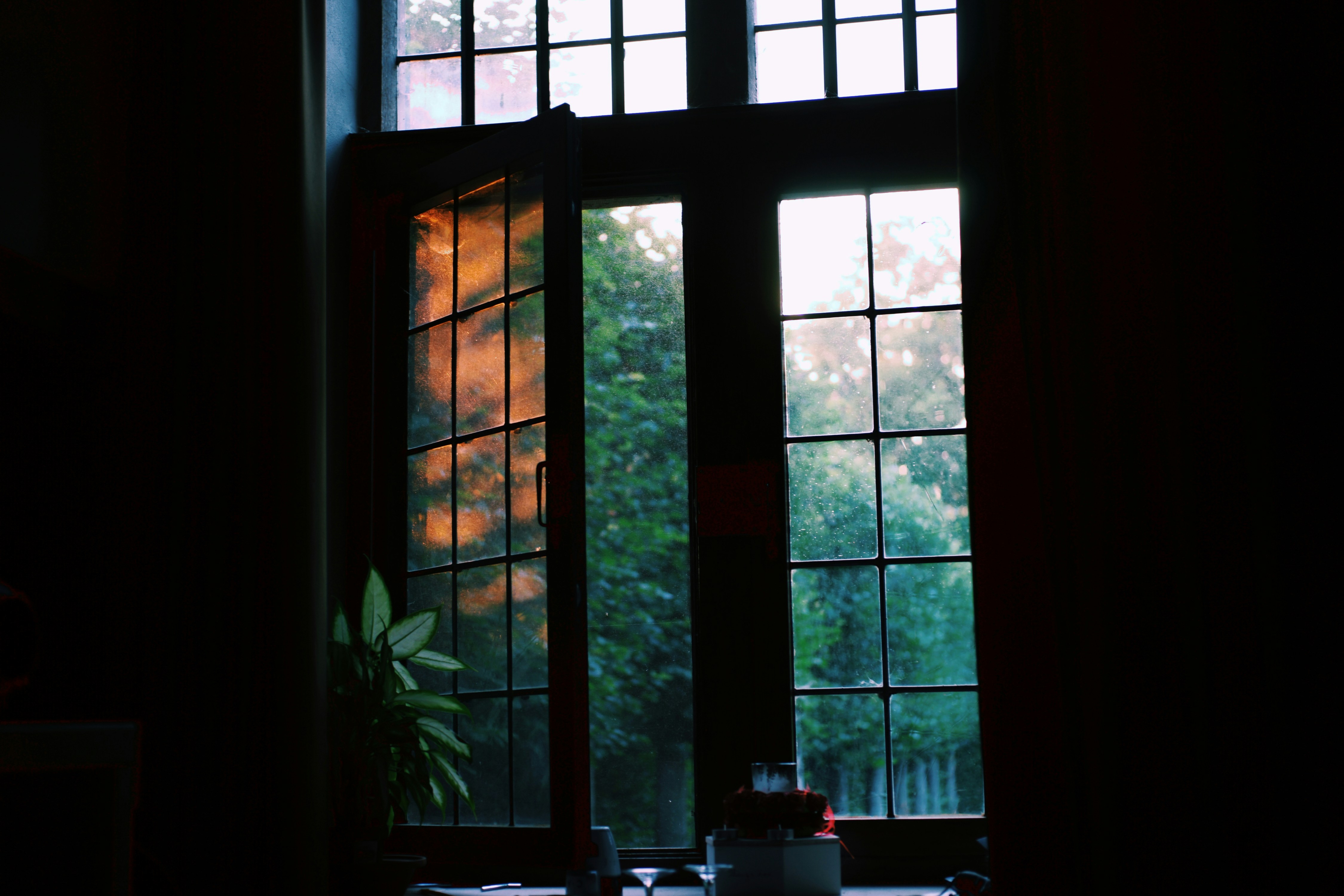 Sunset light filters through a vintage window, illuminating a lush green view outside, with a hint of indoor decor visible.