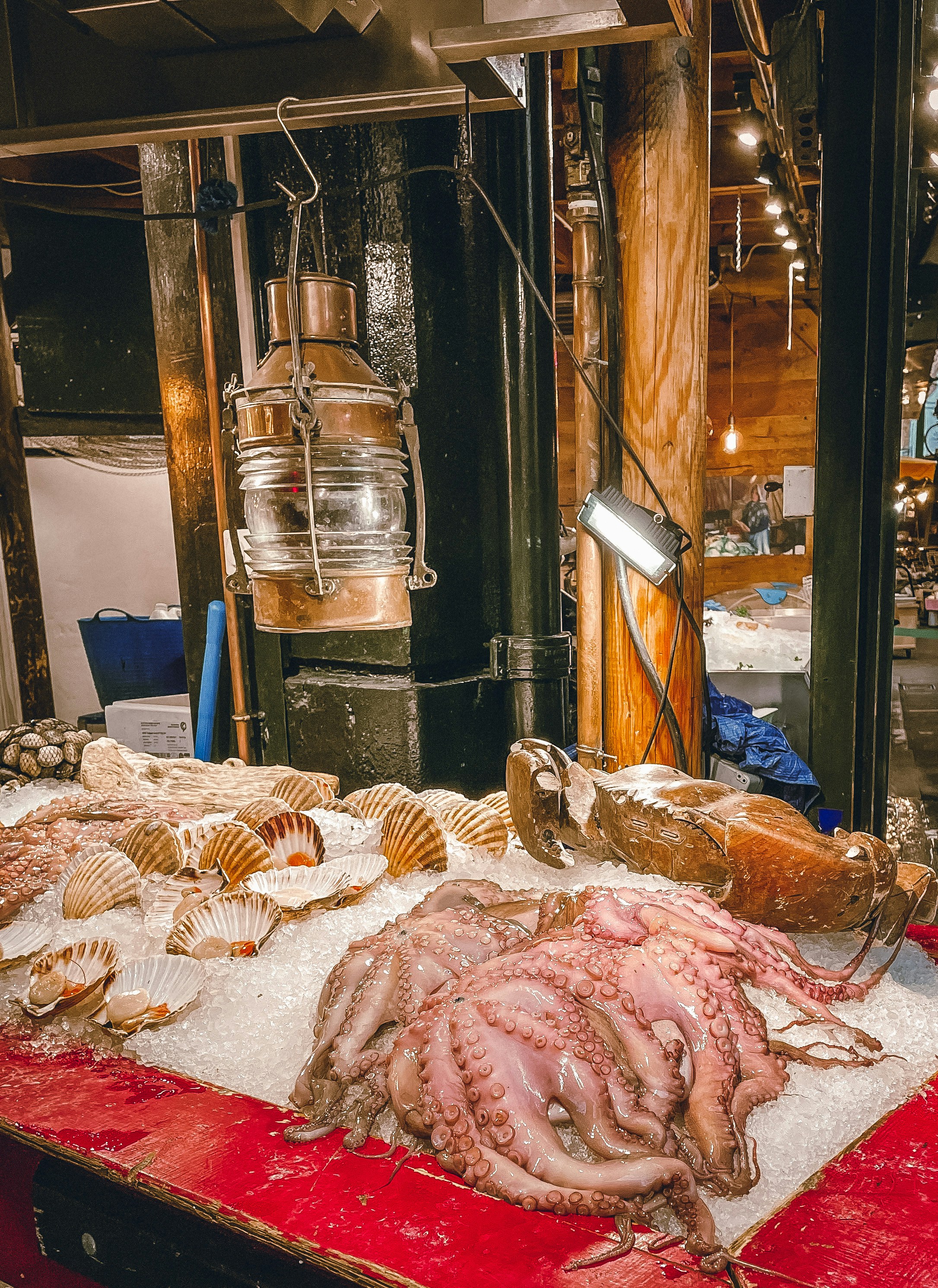Lobster Lanterns and Tentacles: Market Case Under Warm Light