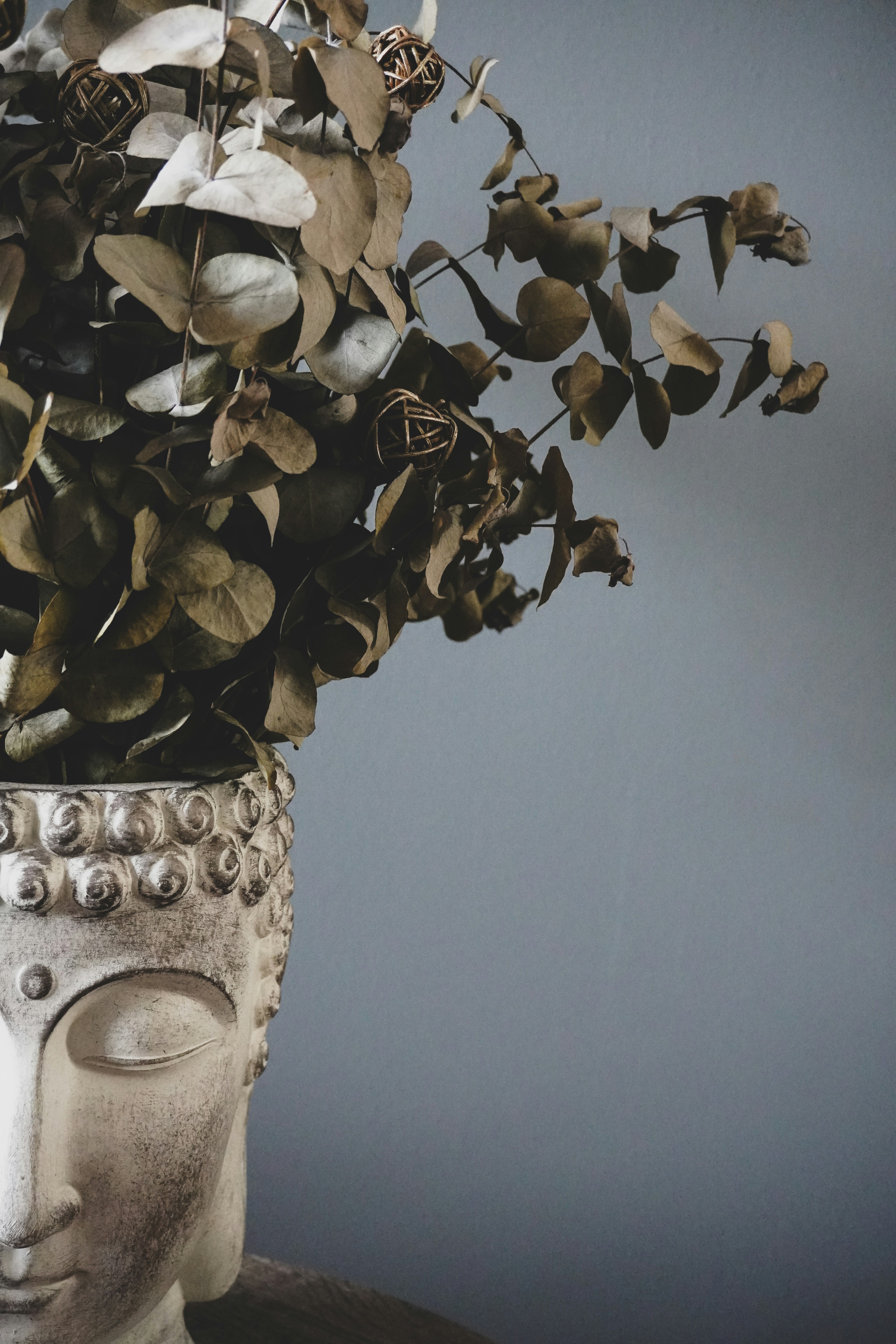Calm Ornament: A Buddha Vase Framed by Dried Botanicals