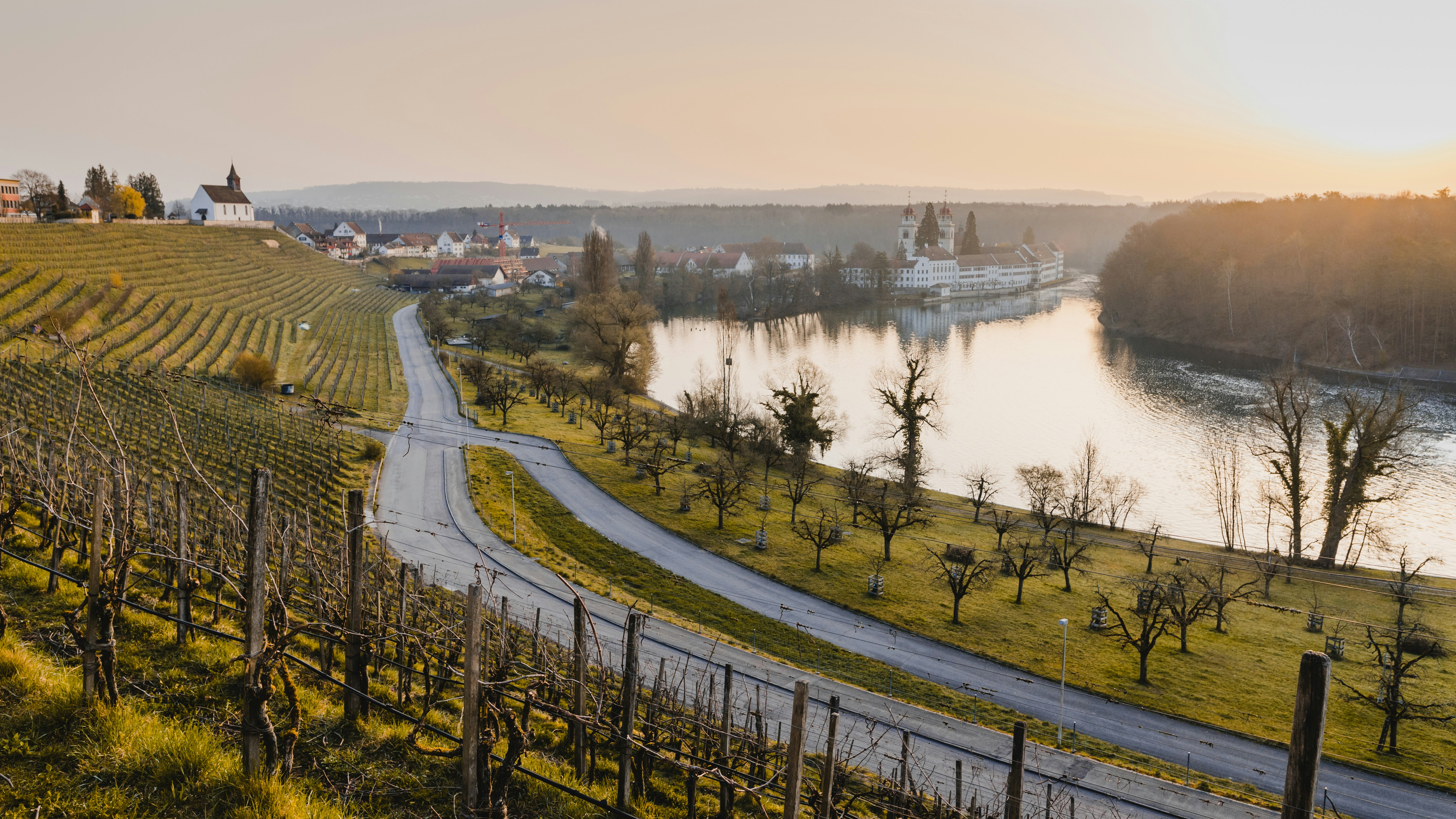 Vineyard slopes stretch towards a winding river under a warm sunset glow.