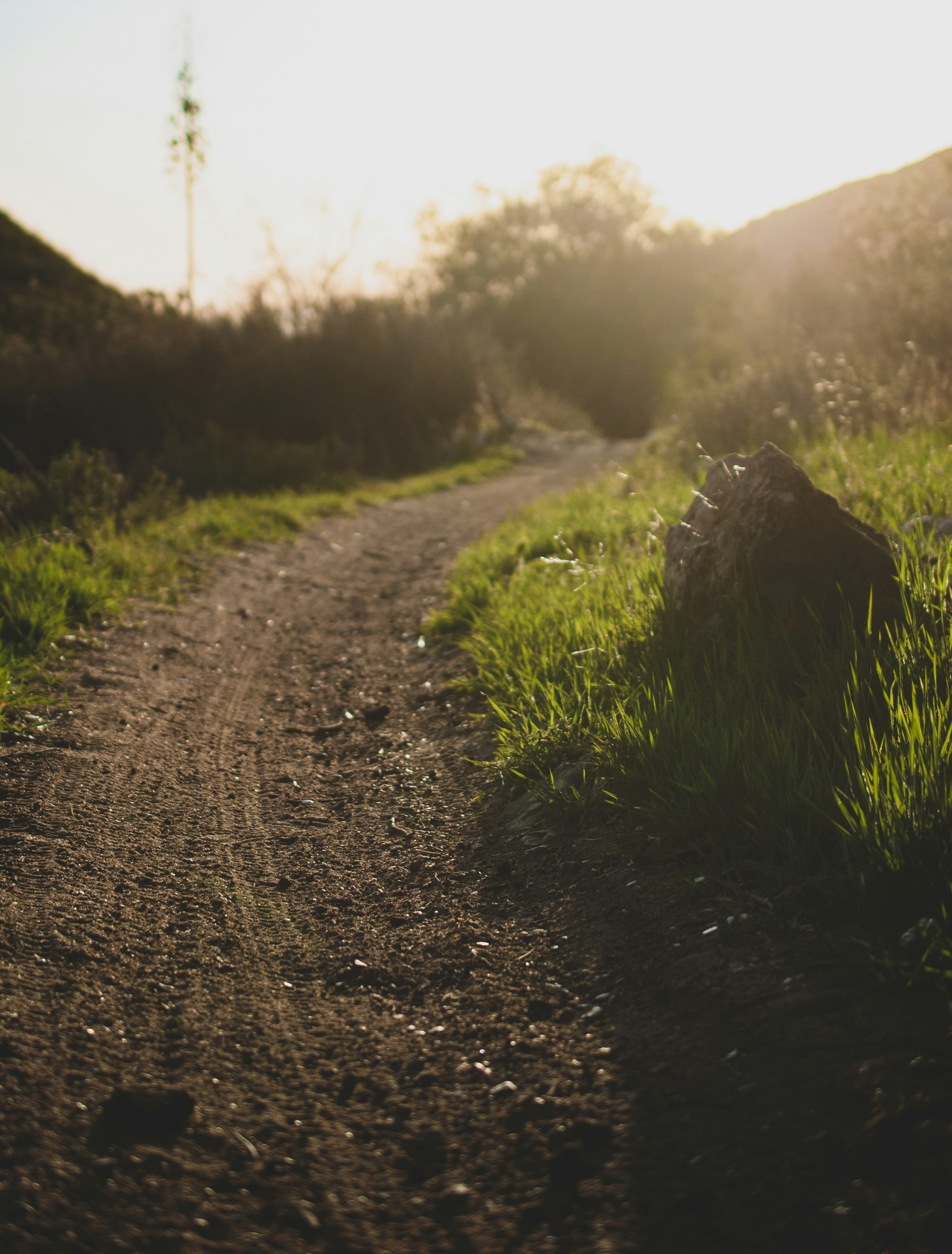 Amber Path to the Quiet Horizon