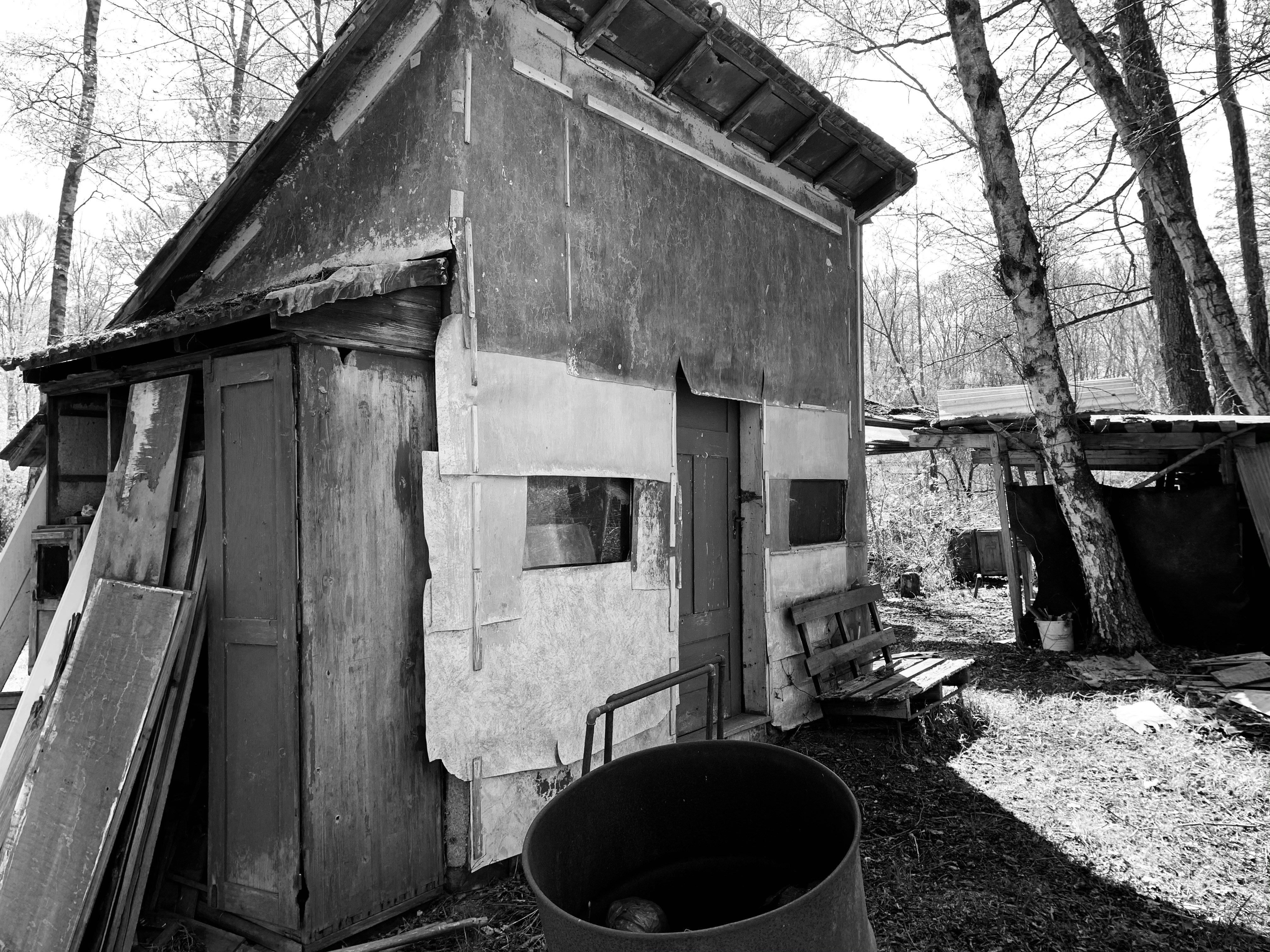 Old shack in the woods | grayscale photo of wooden house