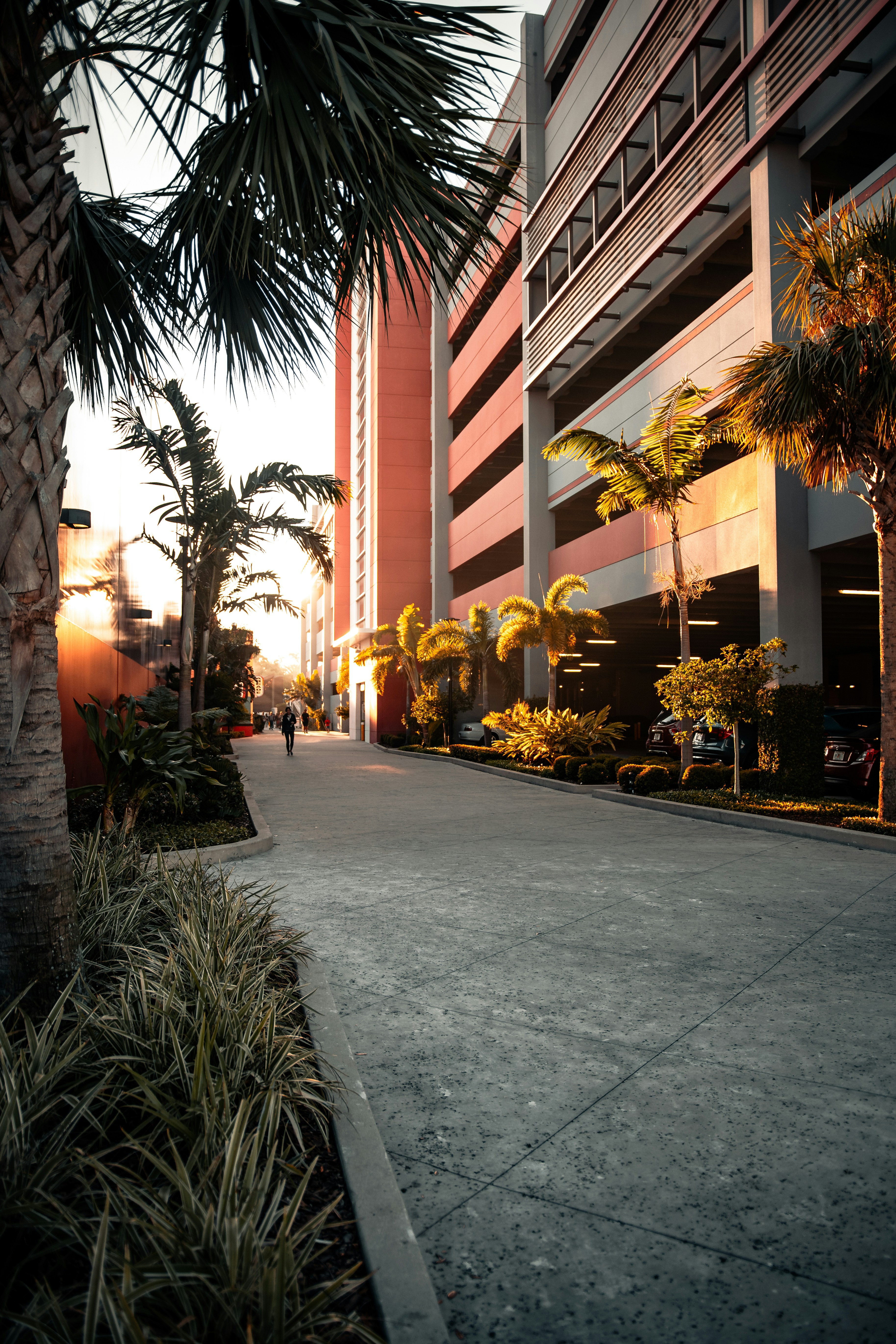 Pathway lined with palm trees and greenery leading to a parking structure, illuminated by the warm glow of sunset.