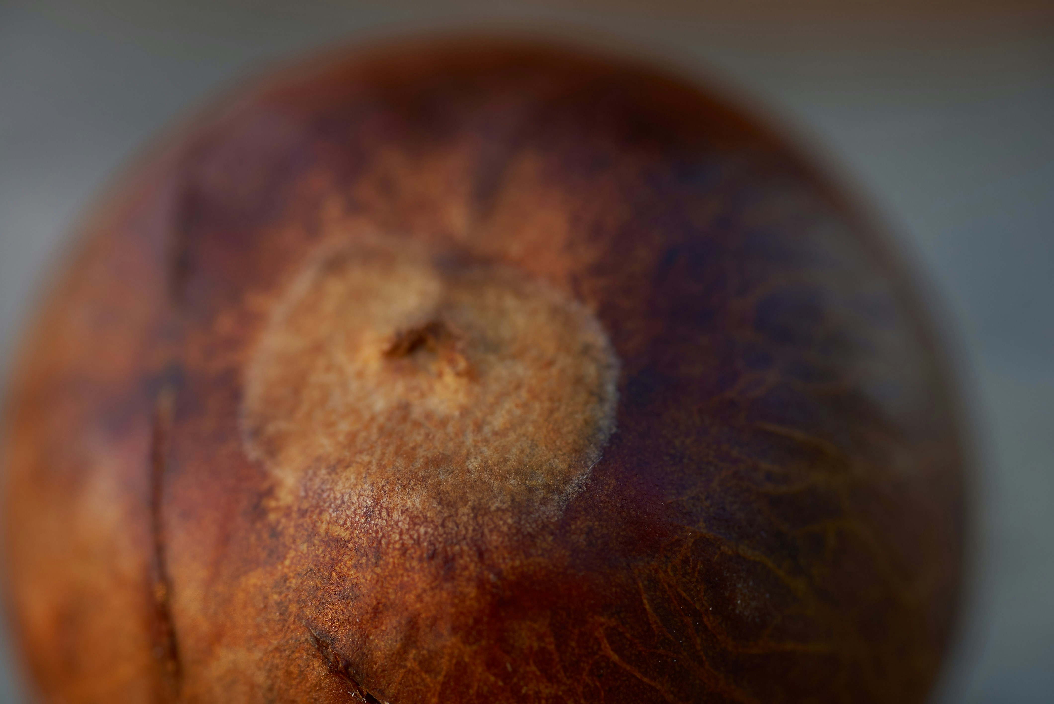 Velvet Peel: close-up of a peach's fuzzy skin and central indentation