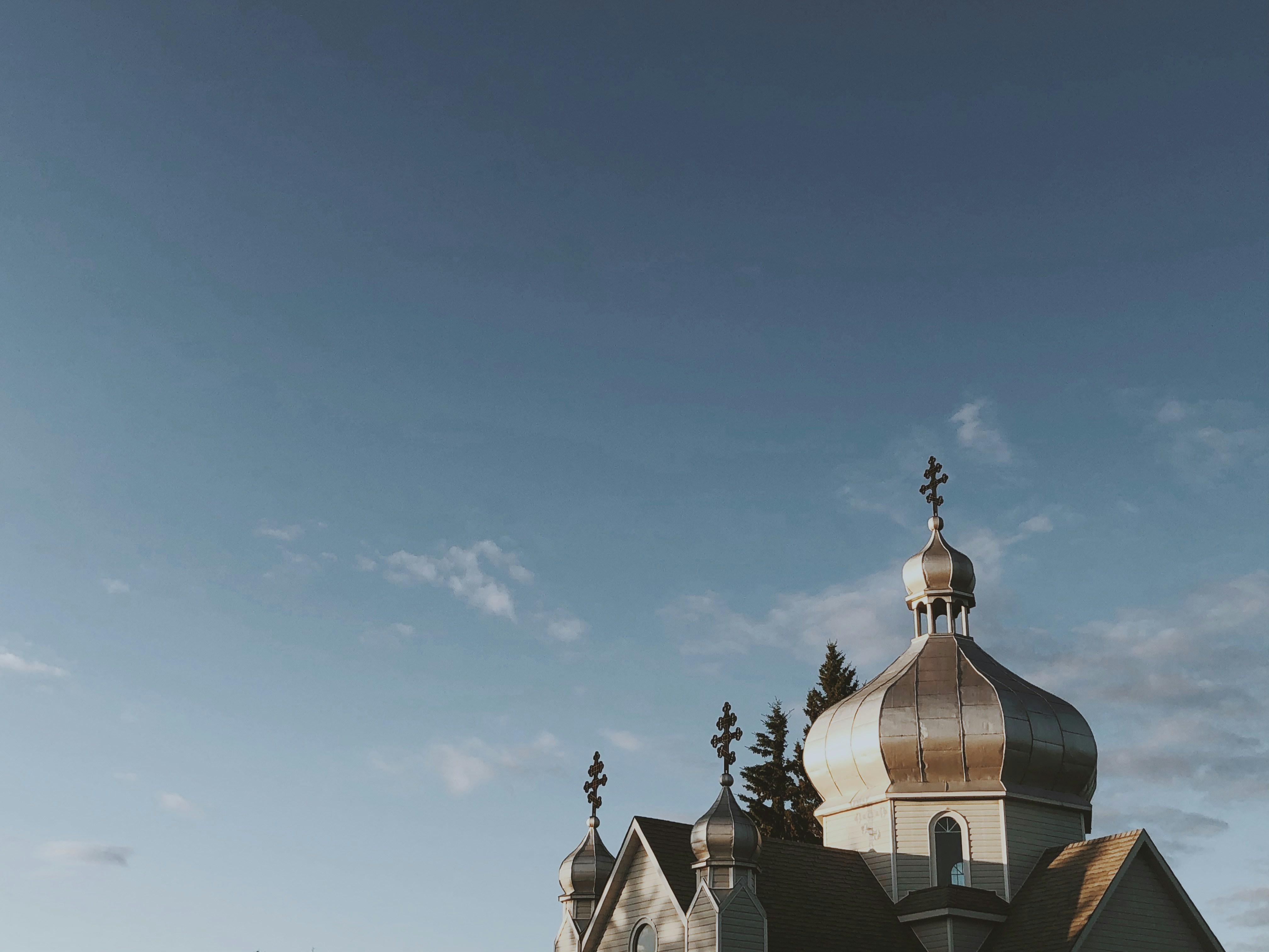 Felicity Lynn (@felicity_dargis) | Komunitas Foto Unsplash