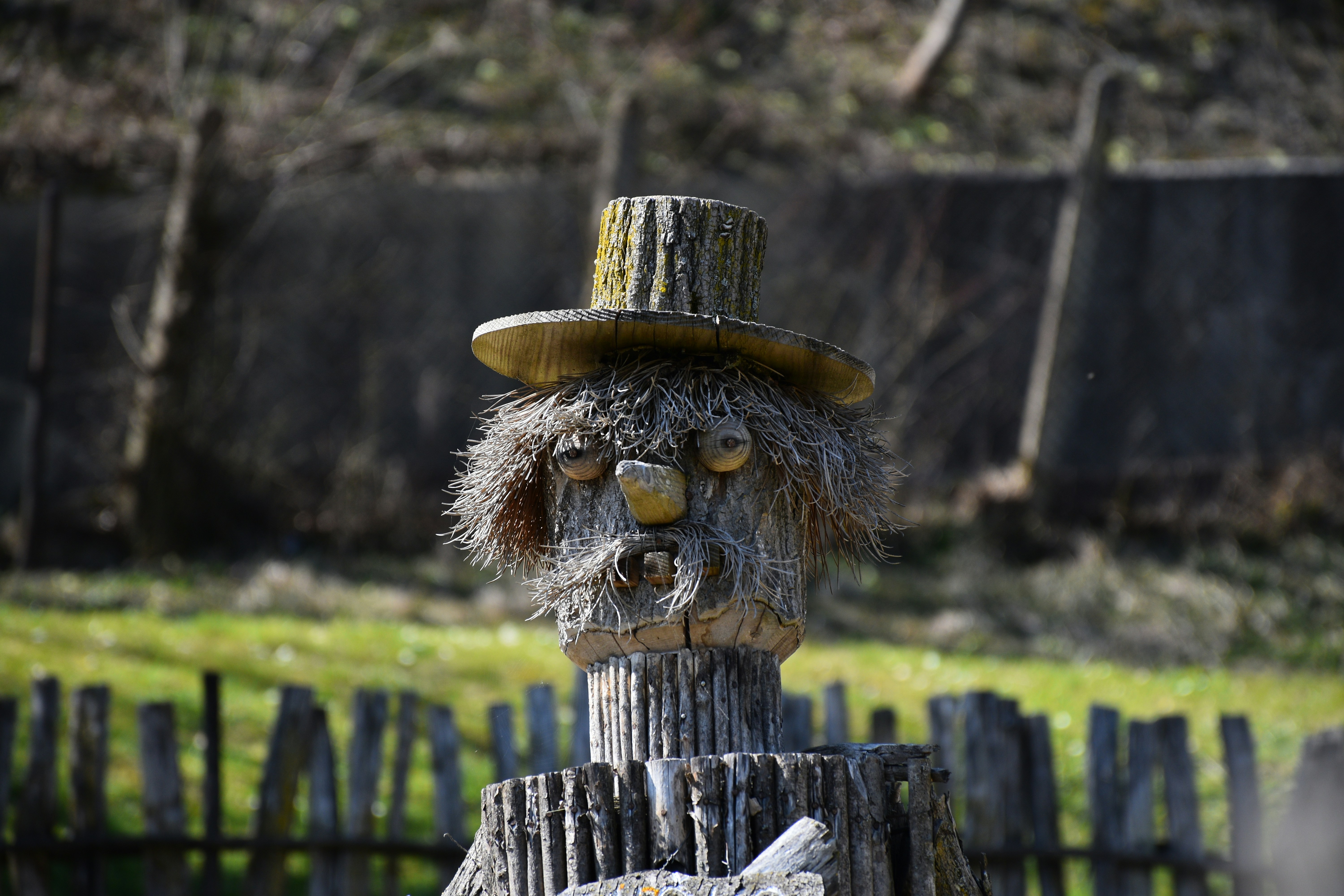Wooden Guardian in the Sunlit Yard