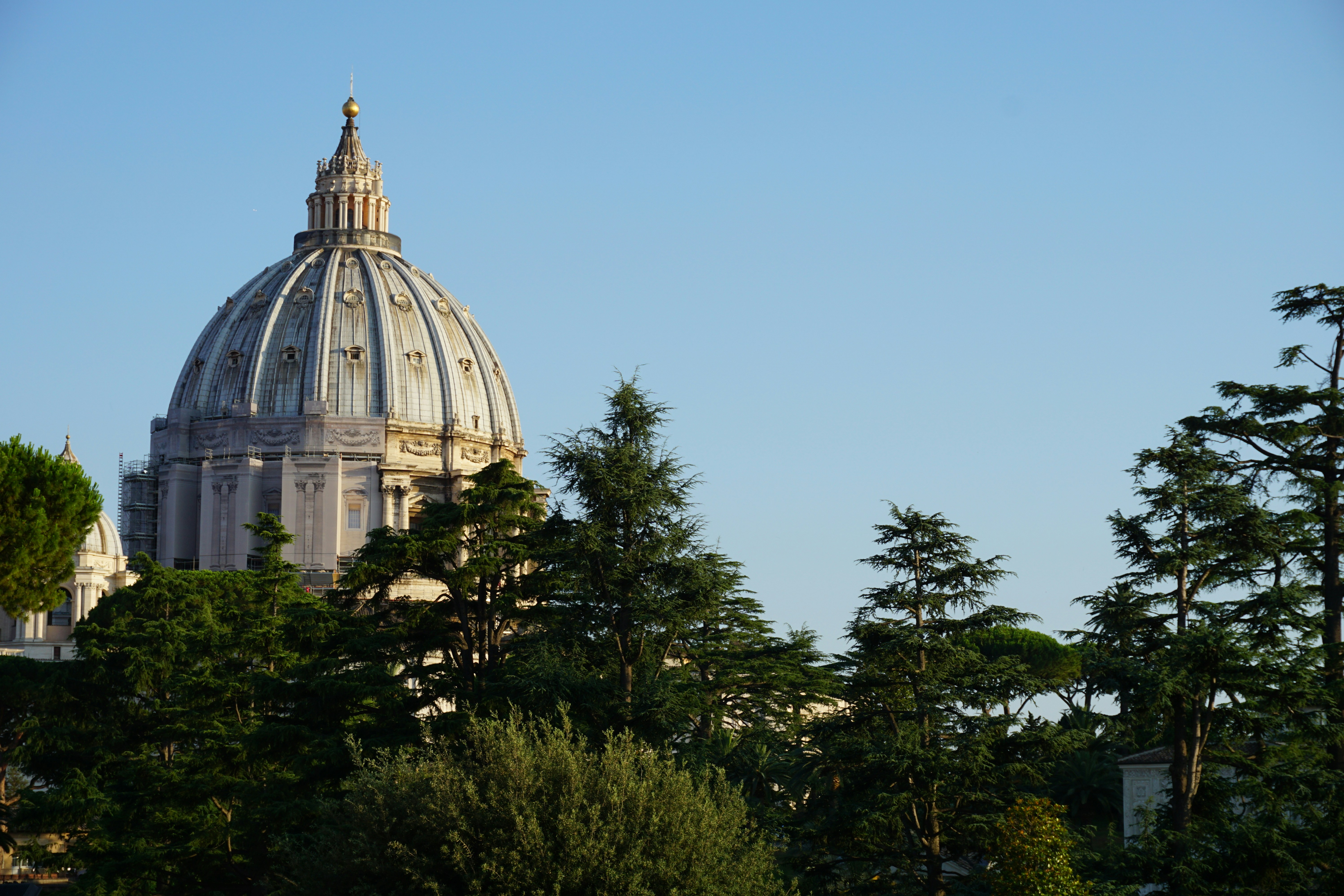 St. Peter's Basilica