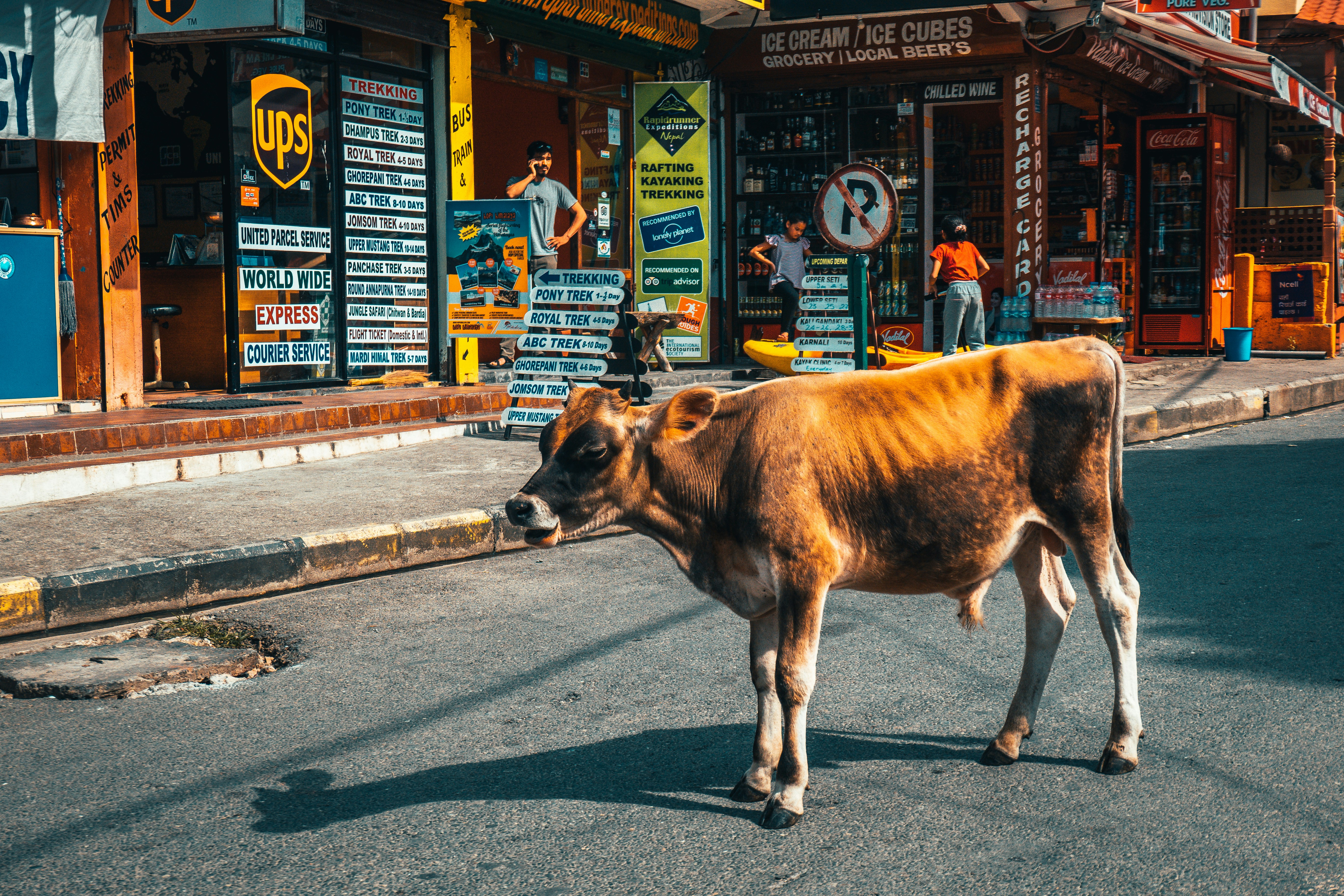 Cow stands in the middle of a busy market street lined with colorful storefronts and signs. This photograph emphasizes urban-rural contrast amid pedestrians and commerce.
