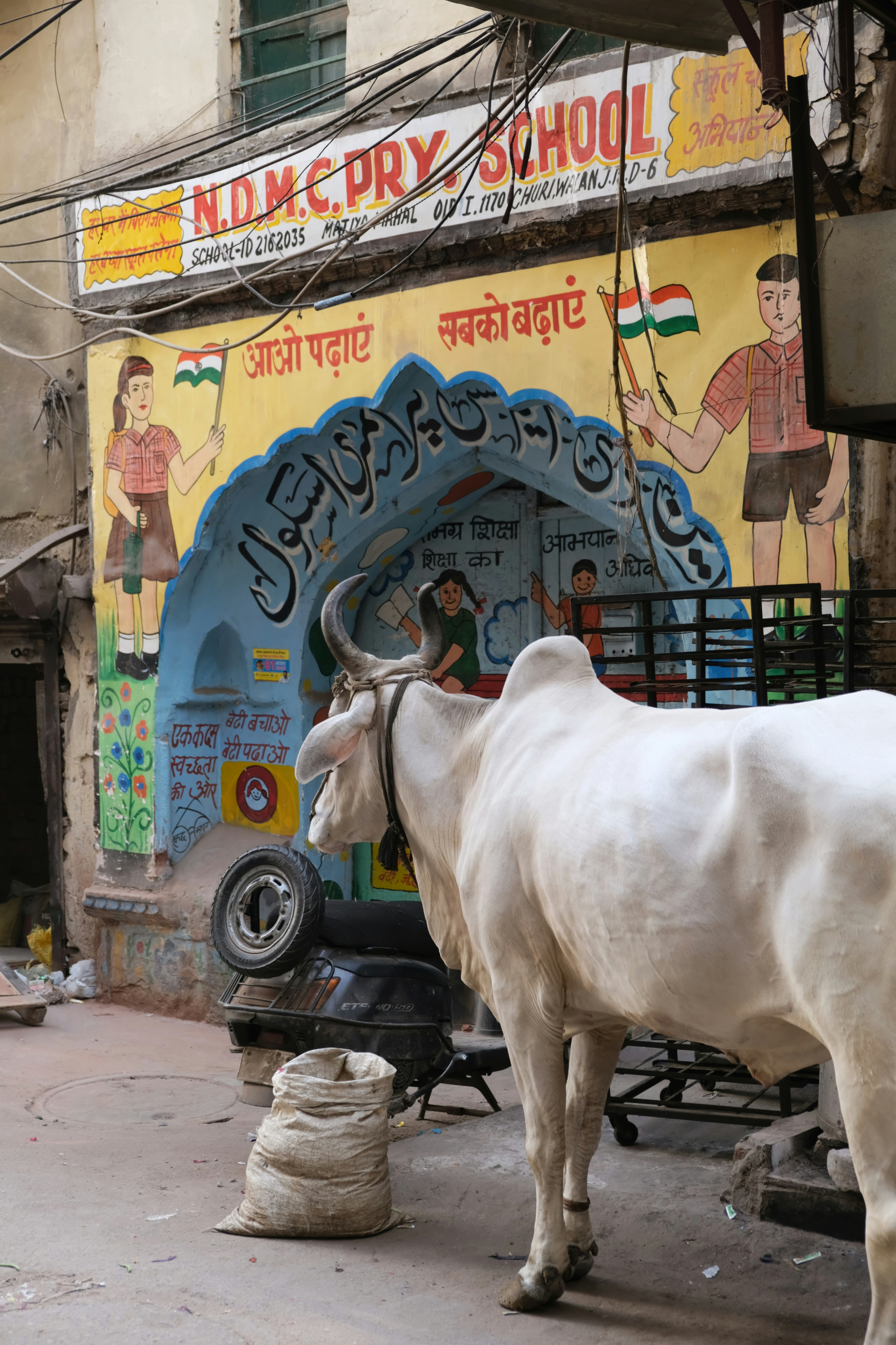 A white cow stands in front of a vibrant school mural depicting children in traditional attire, showcasing cultural elements and community spirit.