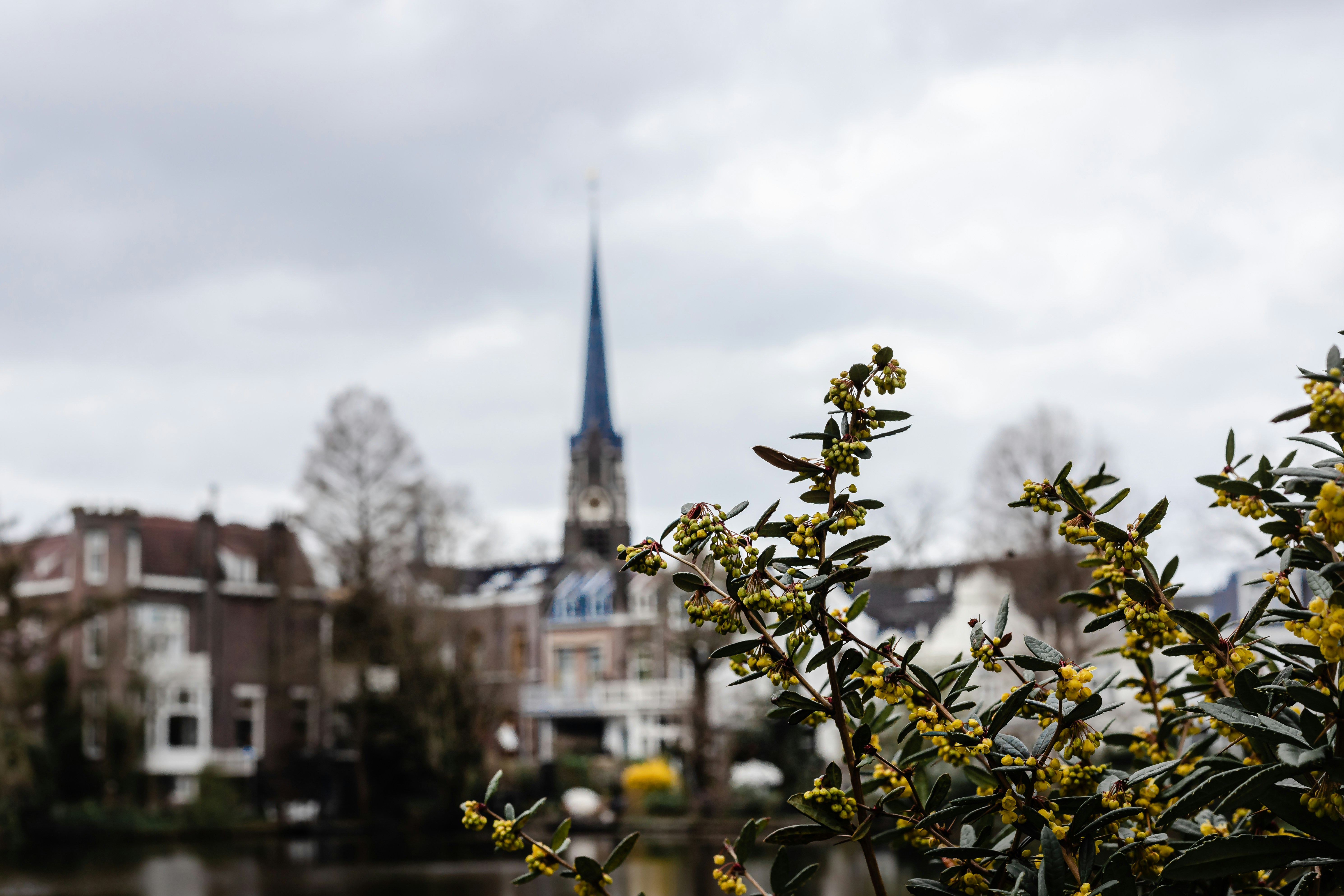 Emerald Fronds Framing a Spire: Quiet Town in Soft Focus