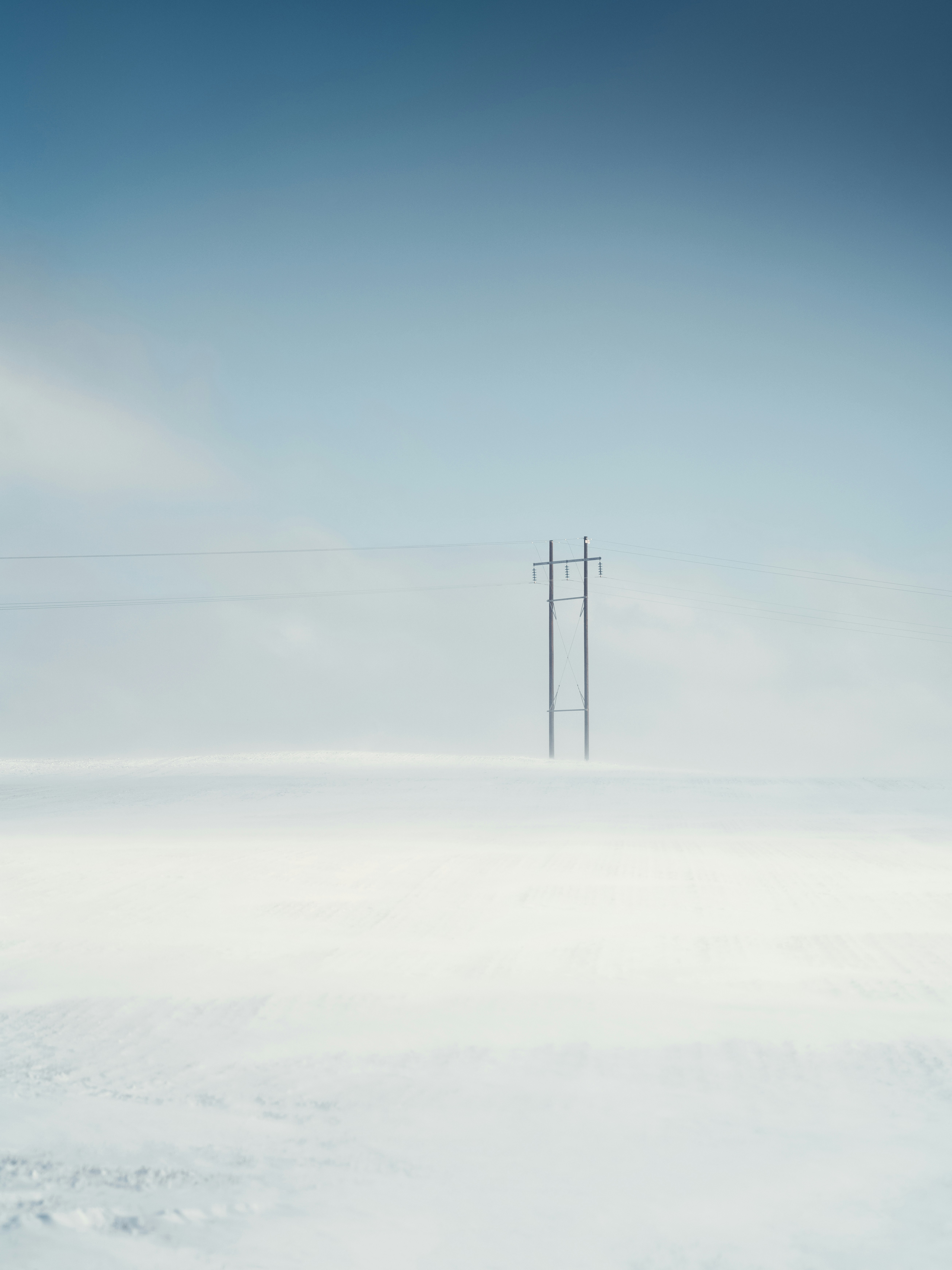 Solitary Sentinels of the Snow