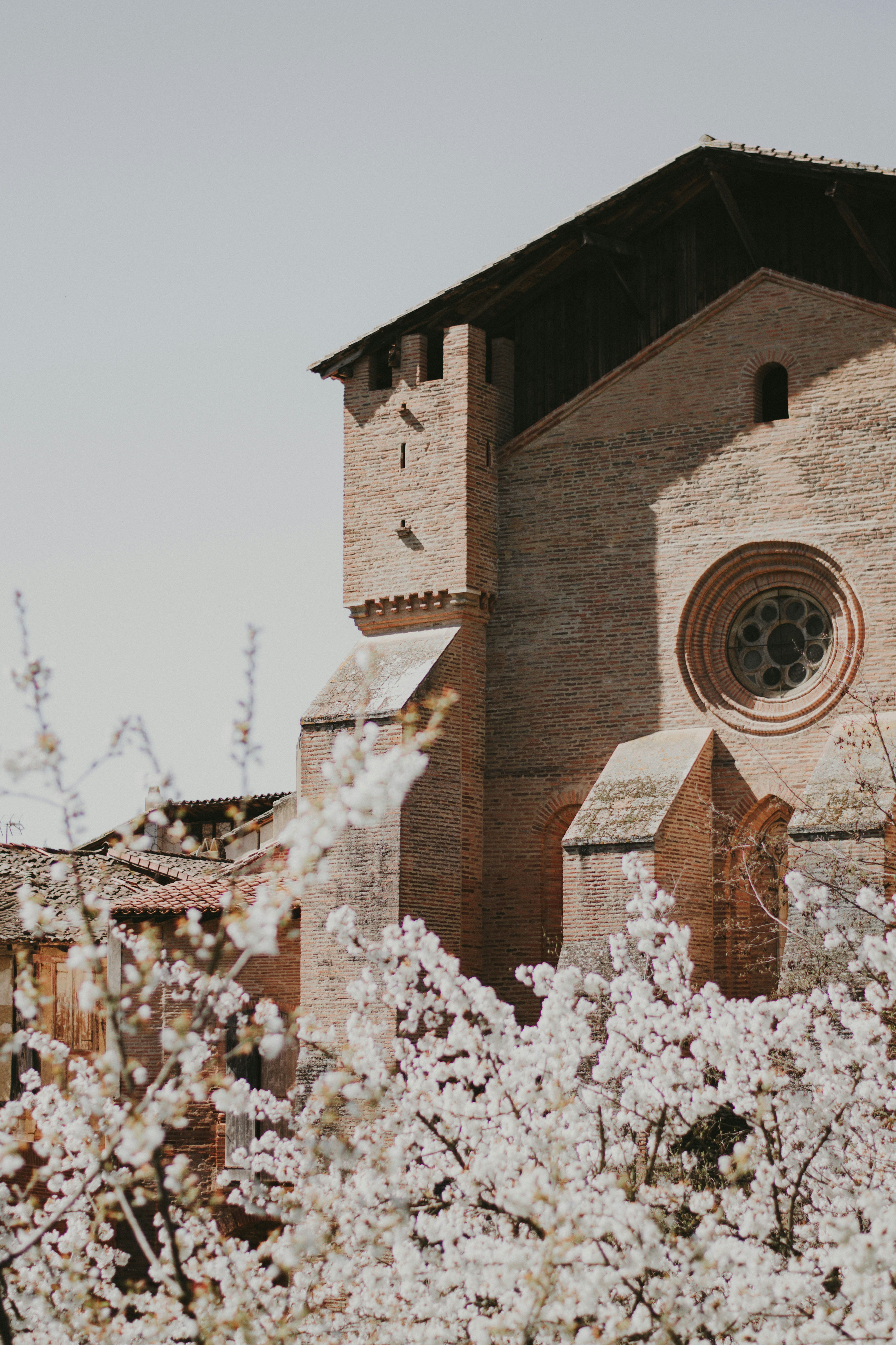 Brick Church in Bloom: The Circular Rose Window Framed by Spring Blossoms