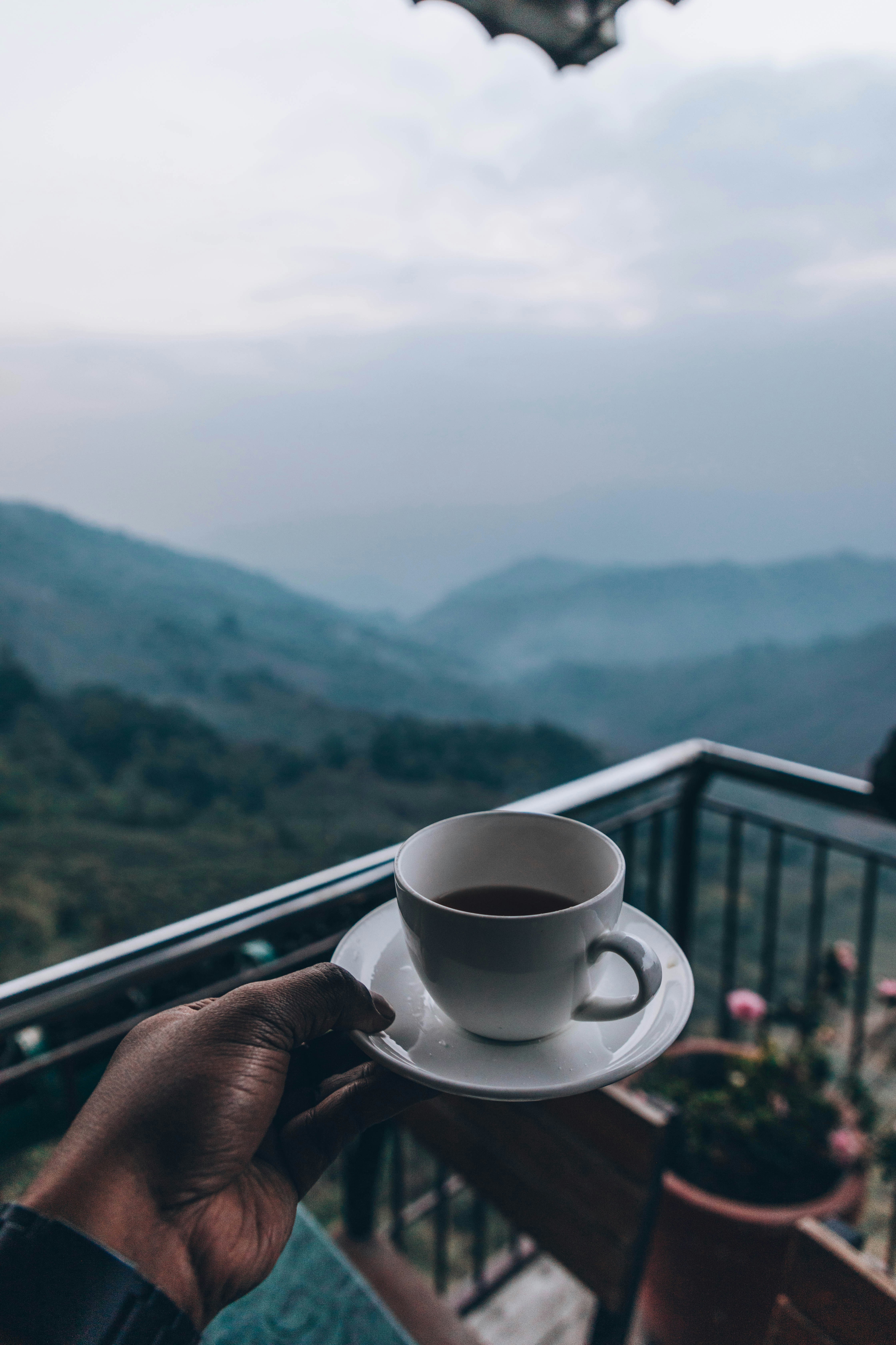 Cup of Quiet on the Balcony Above the Misty ValleyDaniel Dara