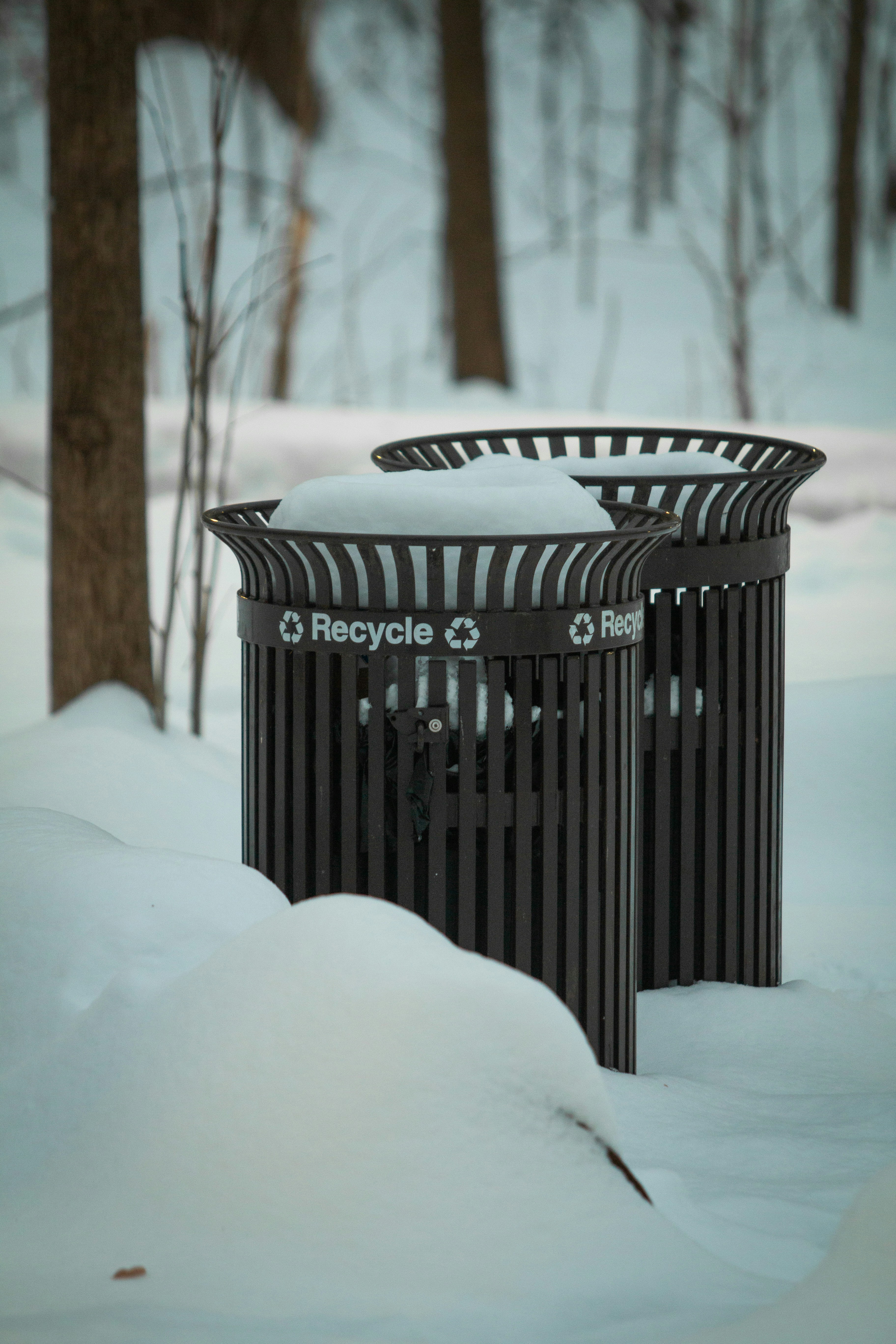 Snow-Capped Recycle Bins Stand Sentinels in a Quiet Winter Park