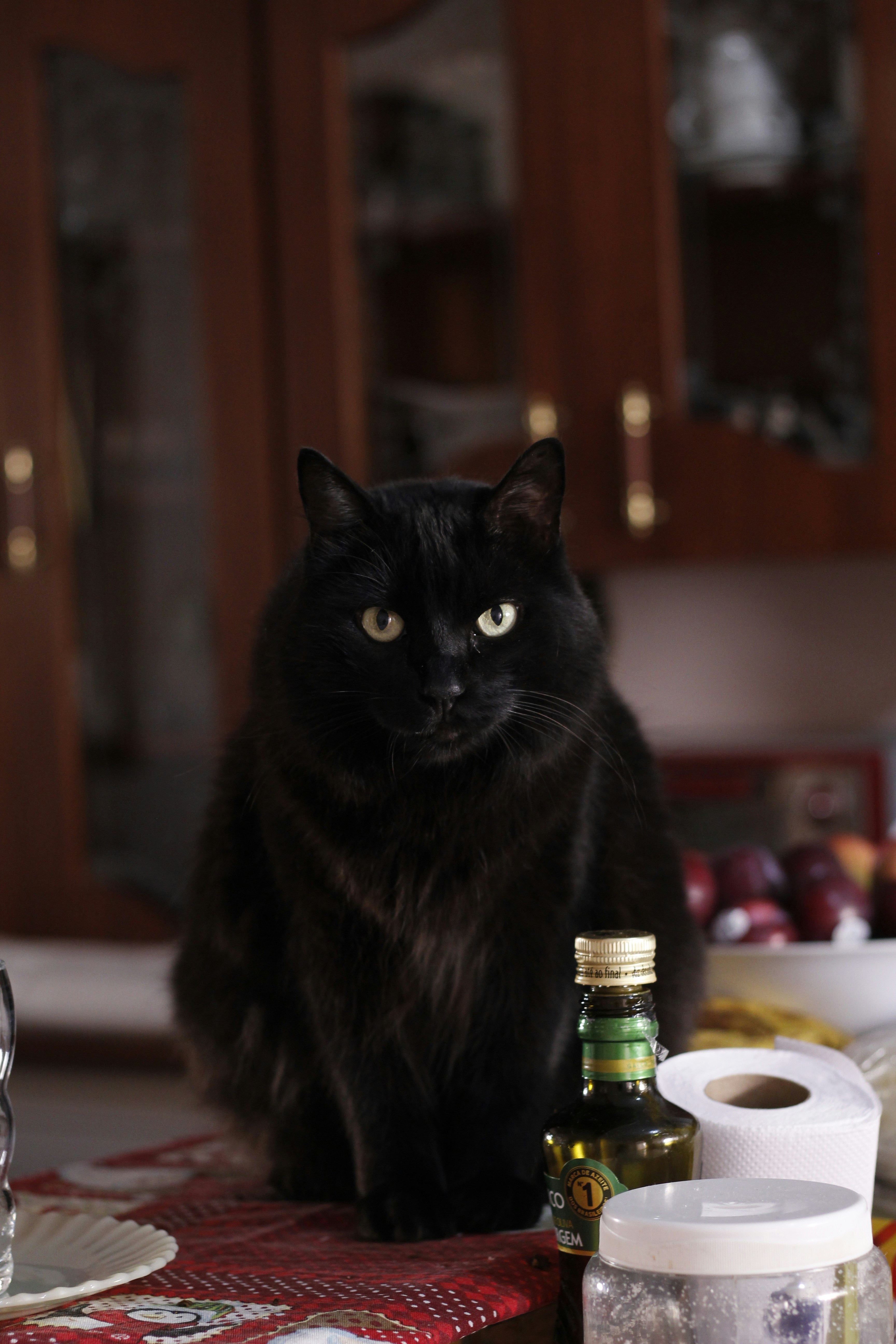 Noir on the Dinner Table: A Black Cat Holds Court Amid Kitchen Essentials