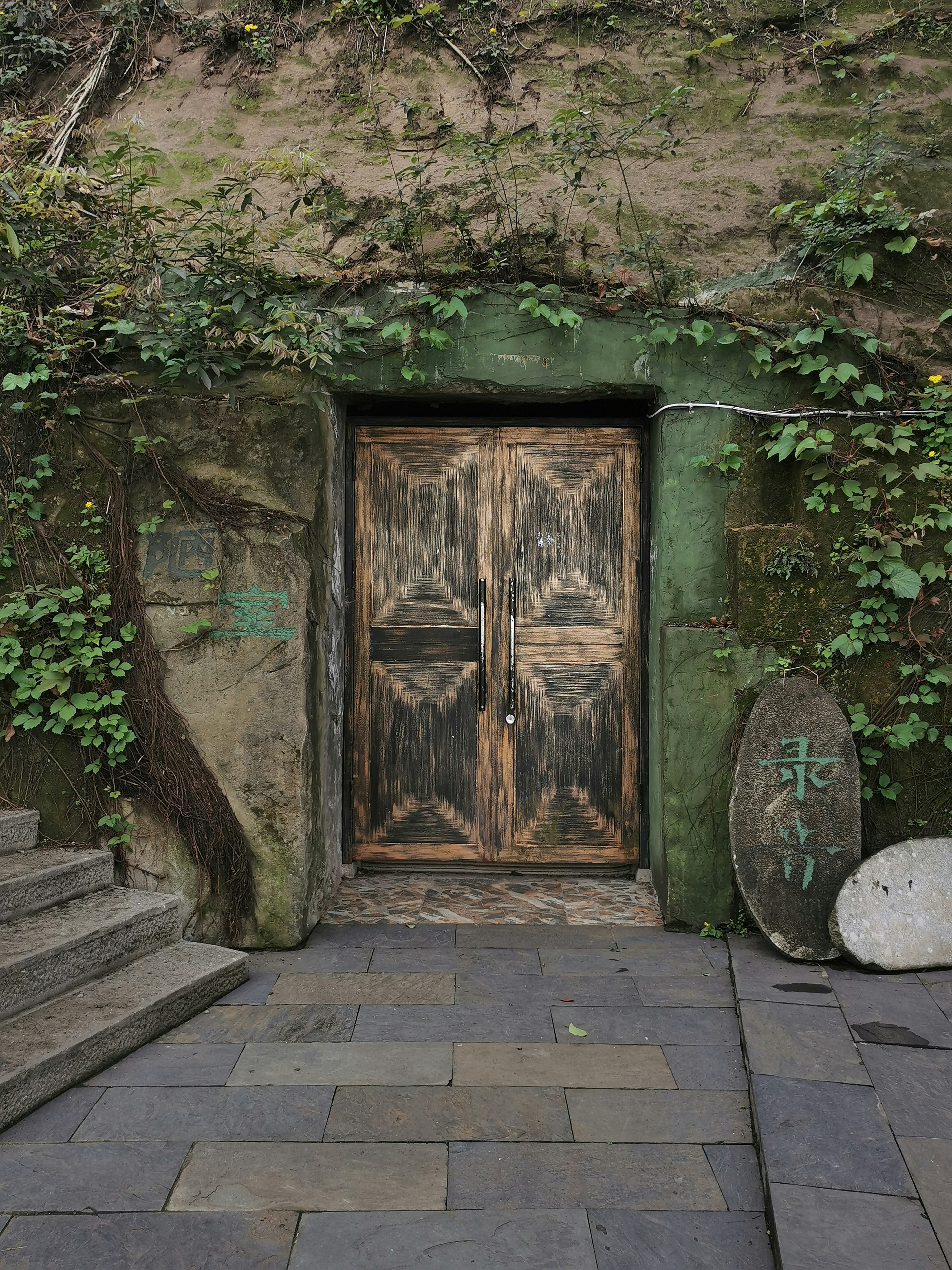 Threshold in the Green Veil: A Weathered Doorway in a Mossy Cliffside