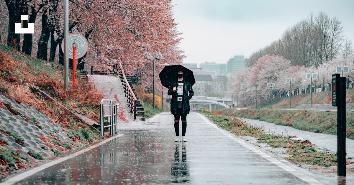 검은 코트를 입은 사람이 낮 동안 거리를 걷고 있는 우산을 들고 있다 사진 Unsplash의 무료 일본 이미지