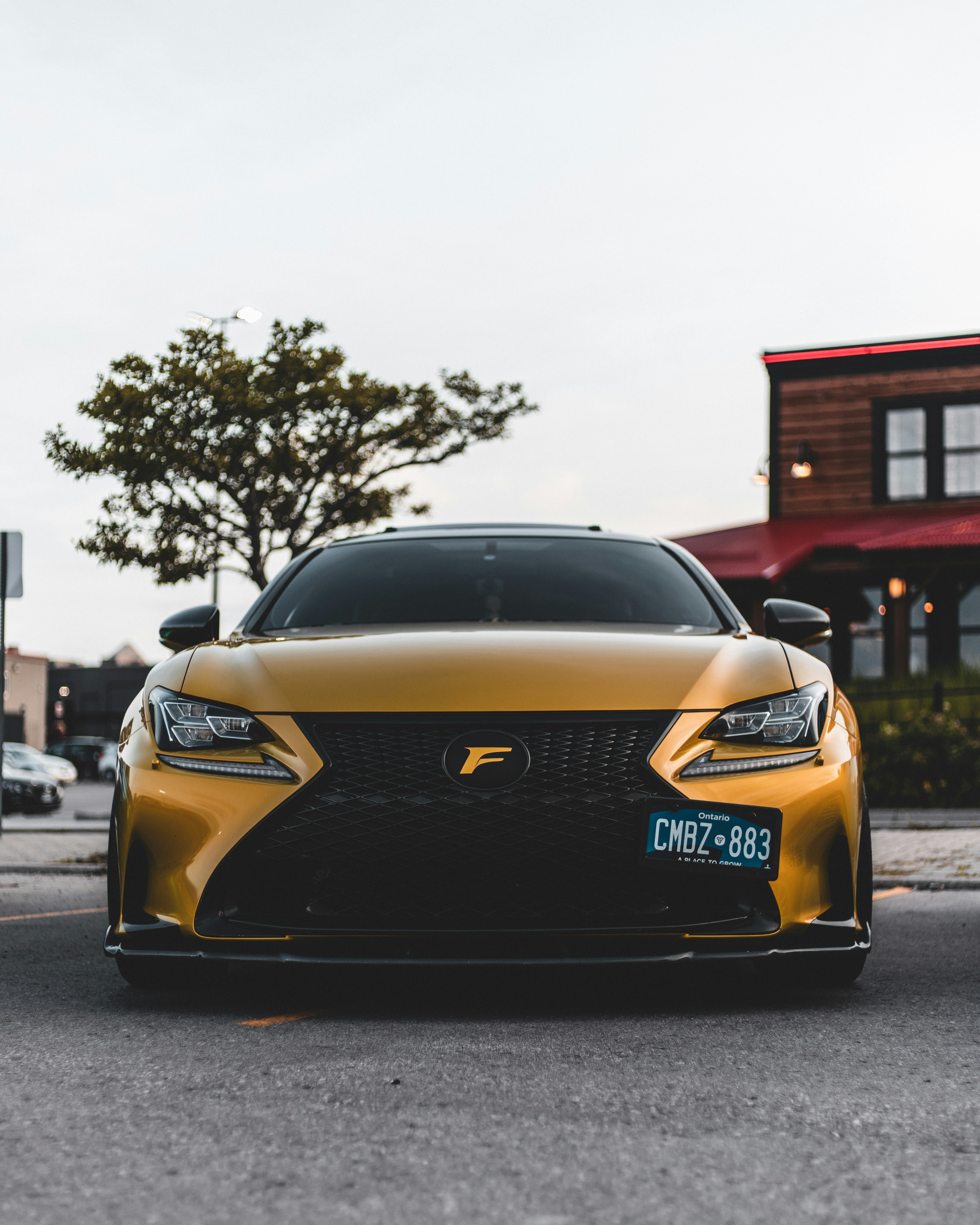 Sunlit Front-Row: A Yellow Sport Sedan Commands a Quiet Parking Lot