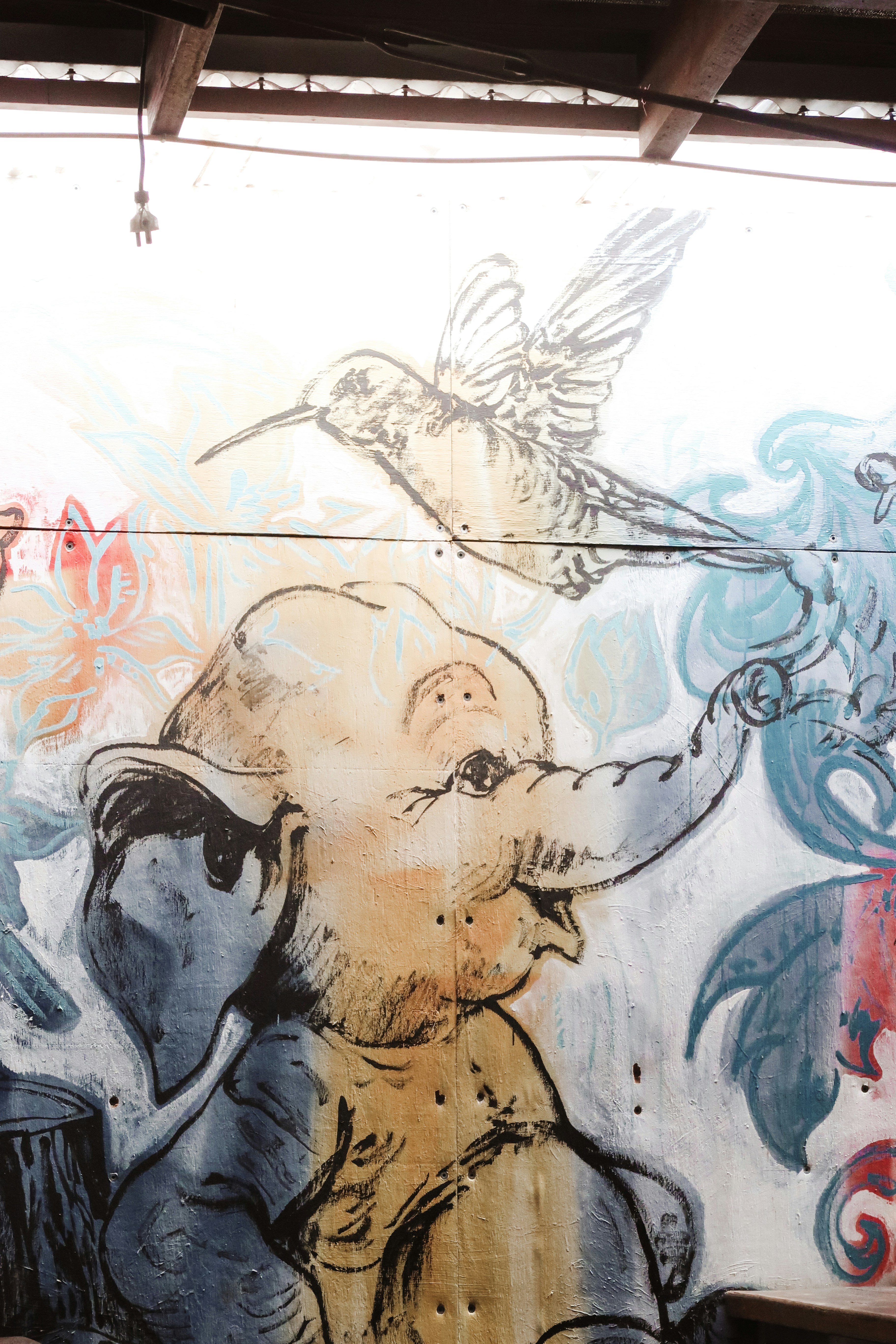 Whispers on a Wall: The Elephant and the Hummingbird in Color