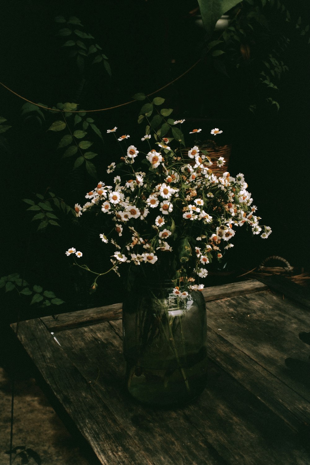 Fleurs blanches dans un vase en verre transparent photo – Photo Fleur ... Fleurs blanches dans un vase en verre transparent photo – Photo Fleur ...