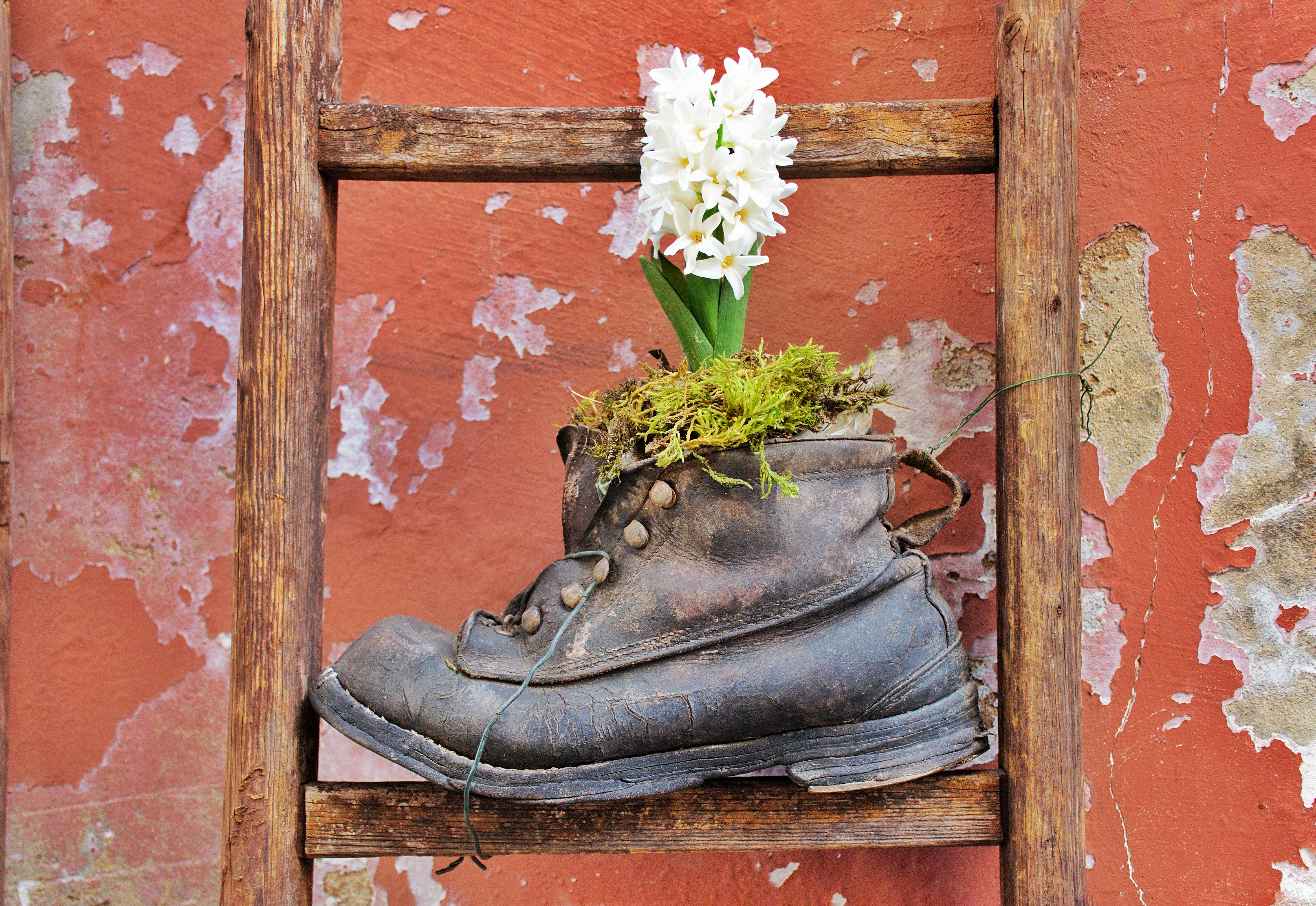 A vintage boot repurposed as a planter, adorned with vibrant flowers and moss, displayed against a textured wall.