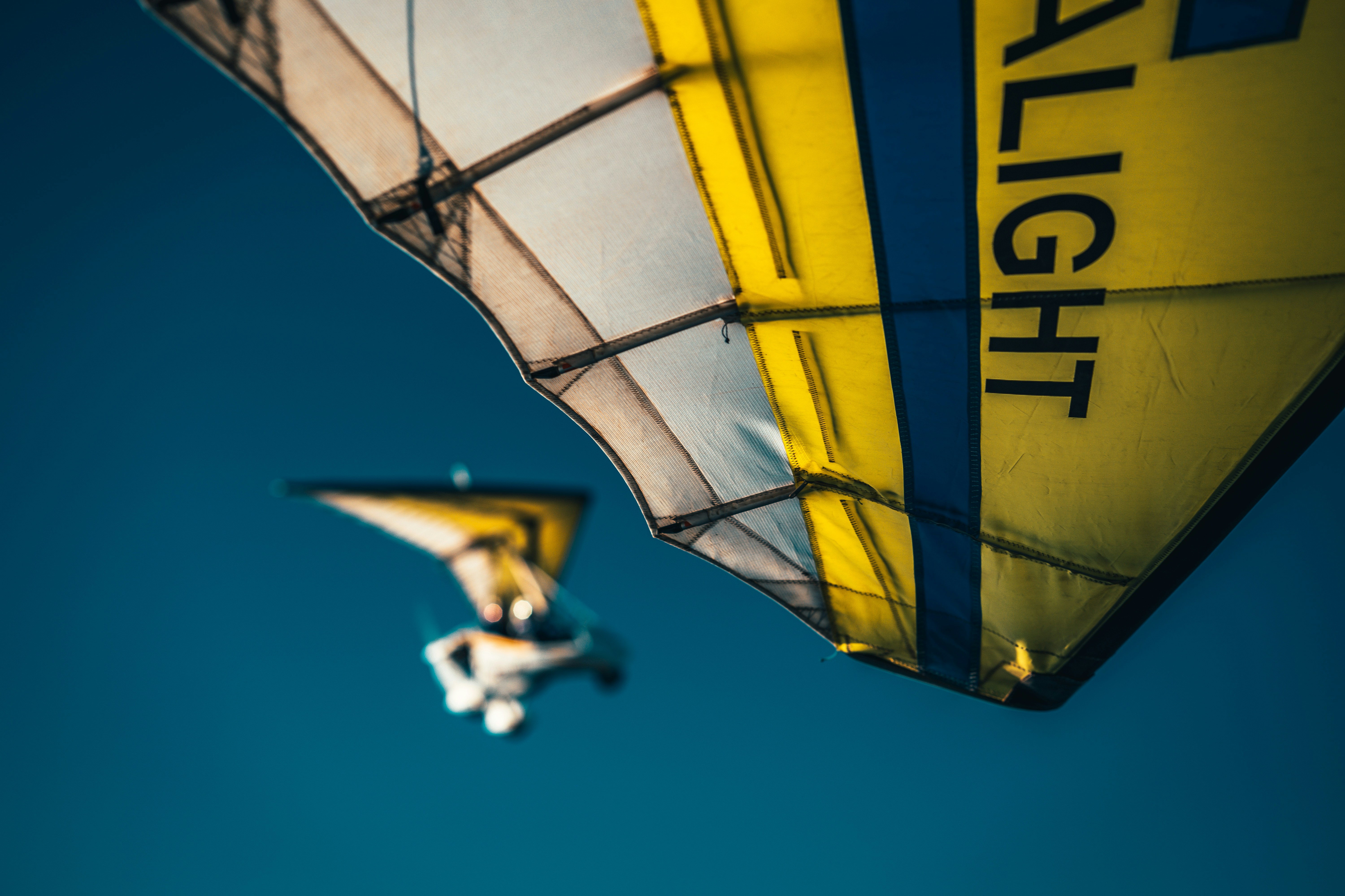 A kite flying in the sky with a bird flying by photo – Free ...