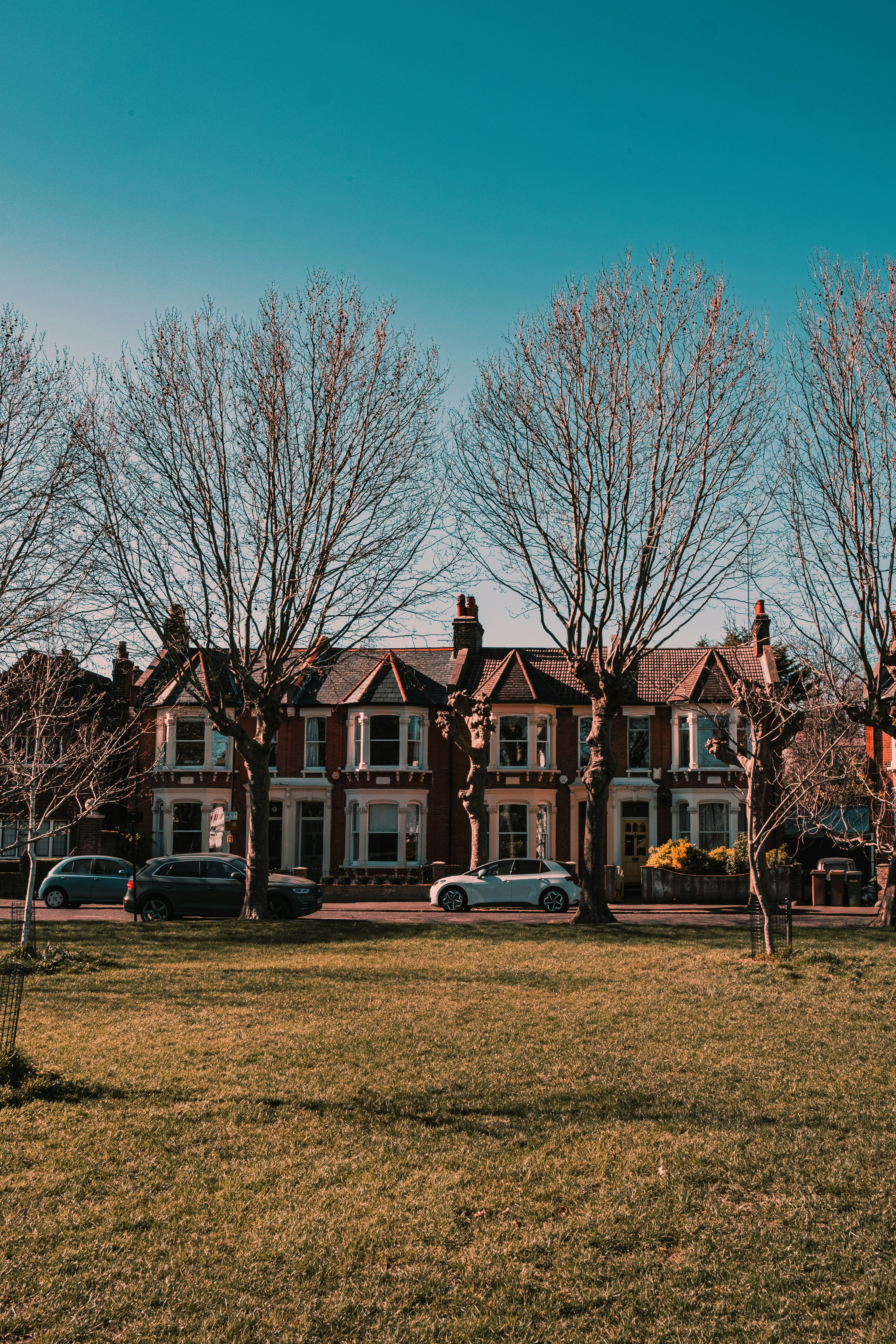 Row of elegant houses framed by leafless trees, showcasing a serene suburban setting in early spring.