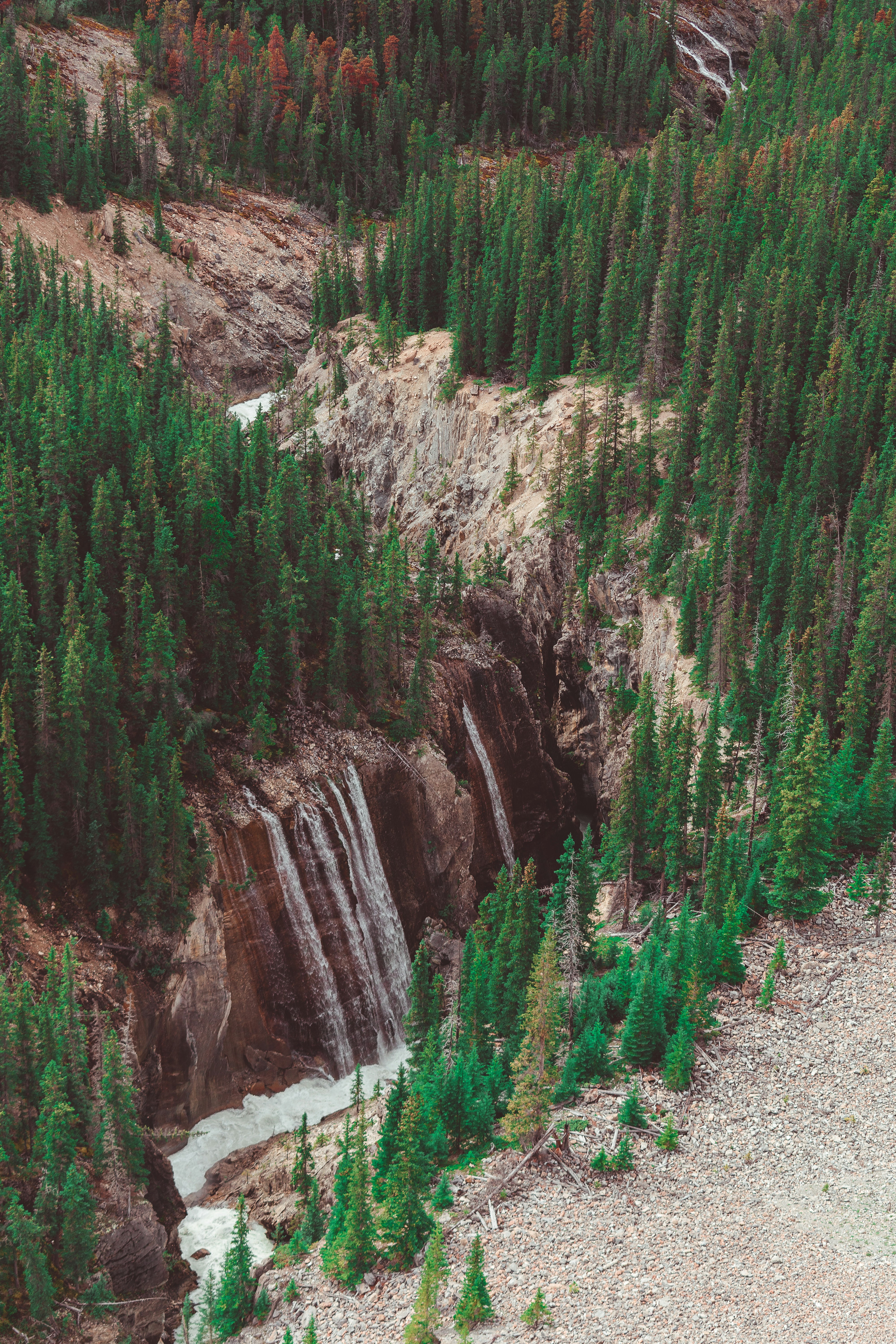 Waterfall Veil Draped in Pines over Canyoned Ridge