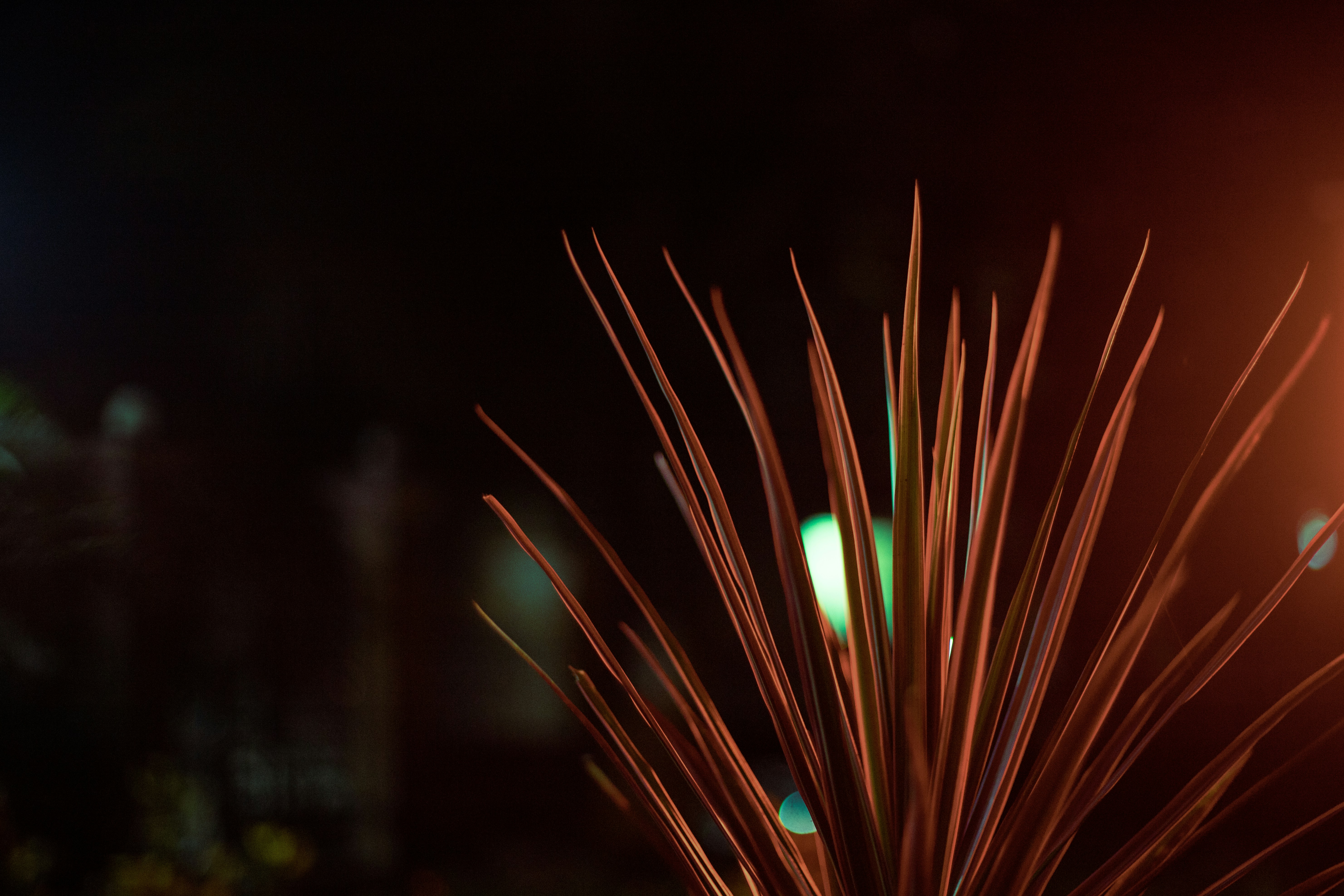 red and yellow fireworks display during night time