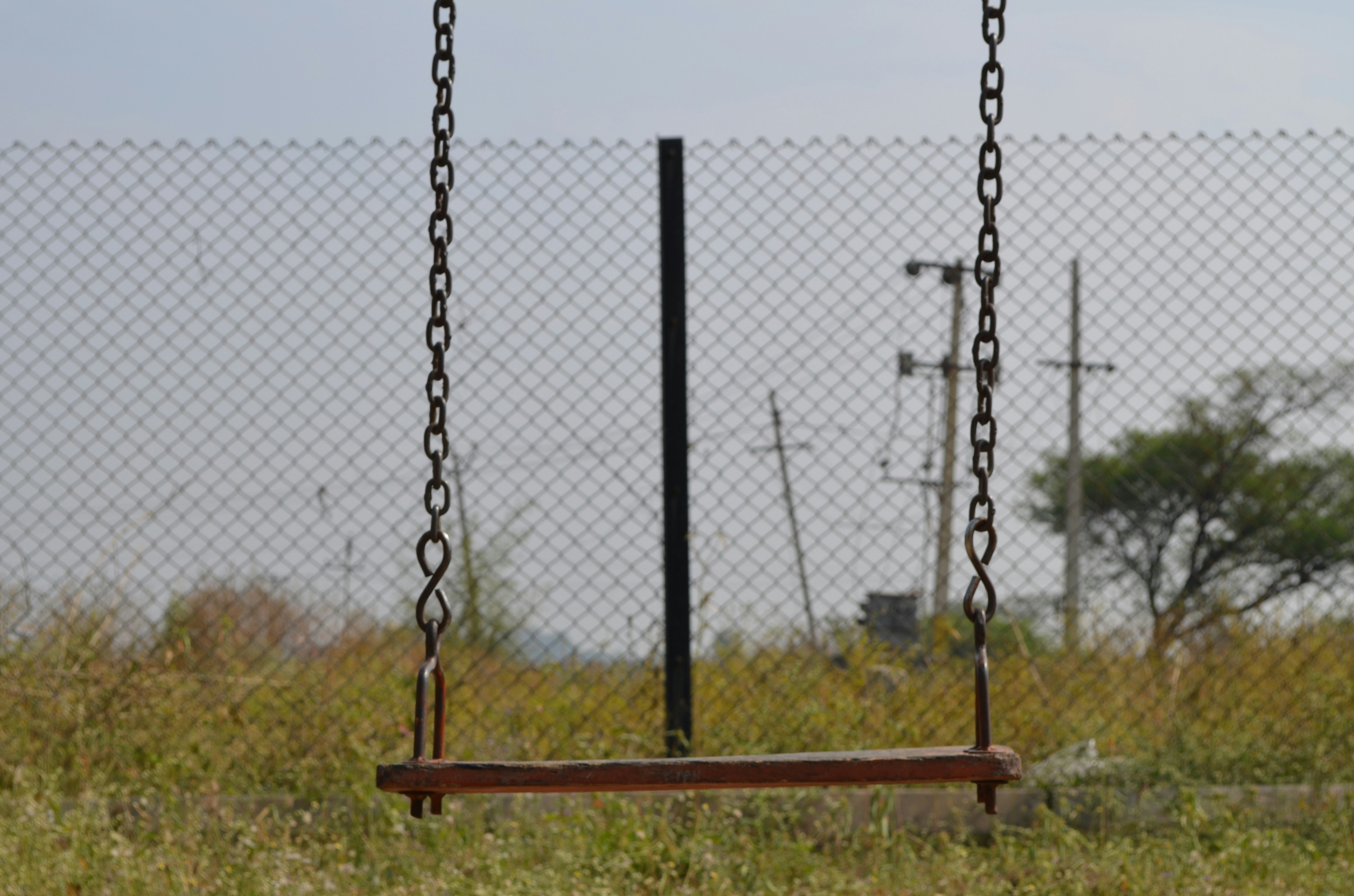 Swing in the Open Field: A Lonely Playground Frame