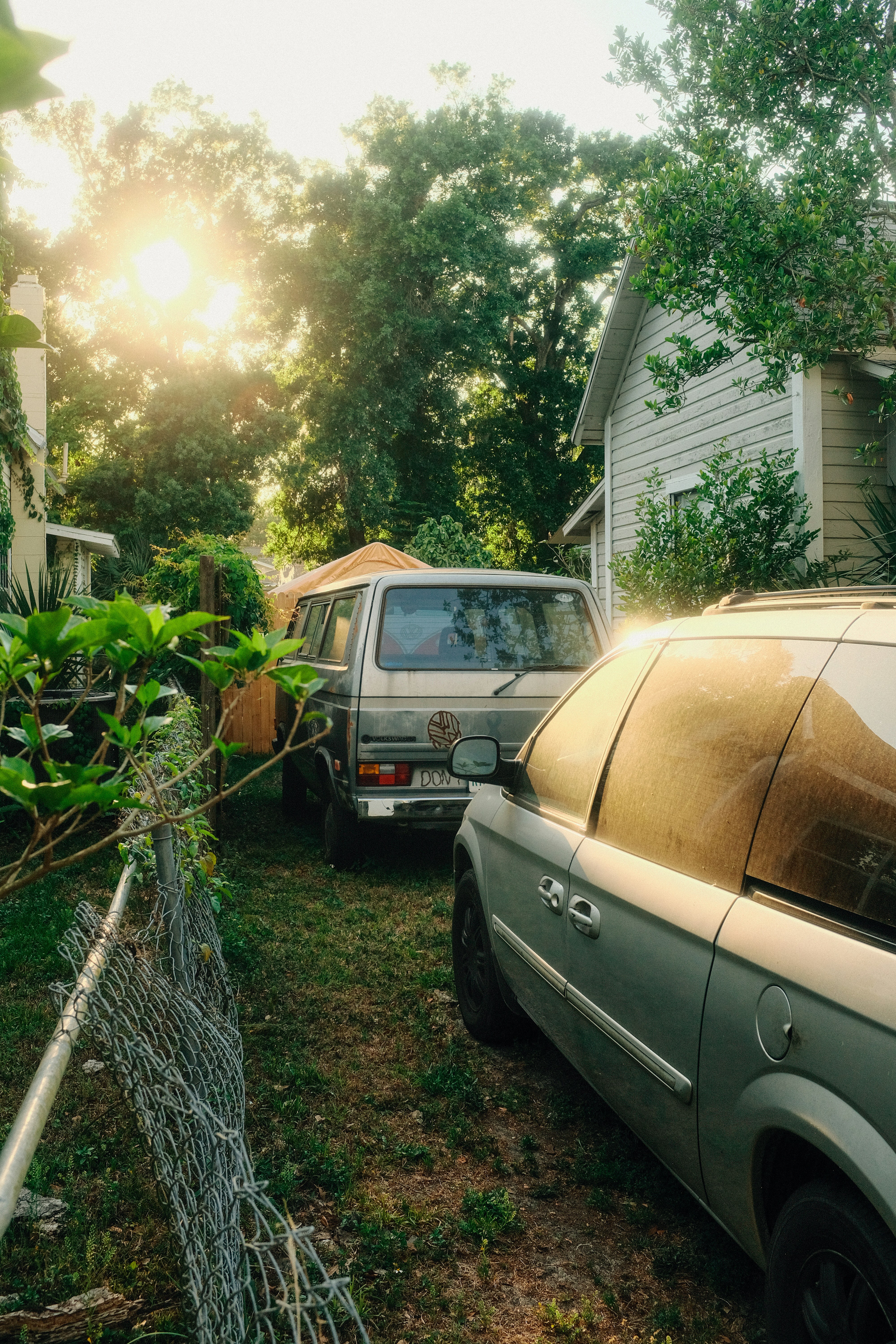 Golden Hour Driveway: Cars, Garden, and Quiet Light