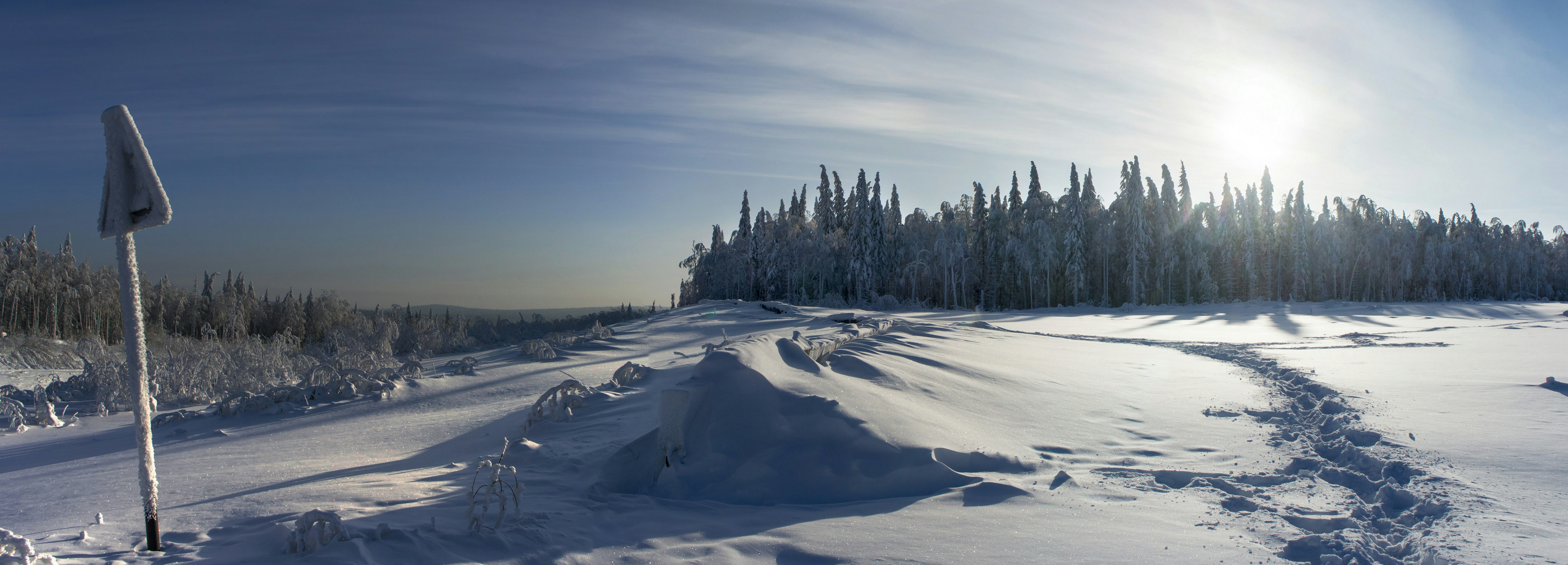 Dawn on the Snow Ridge: A Quiet Path Toward the Pine Horizon