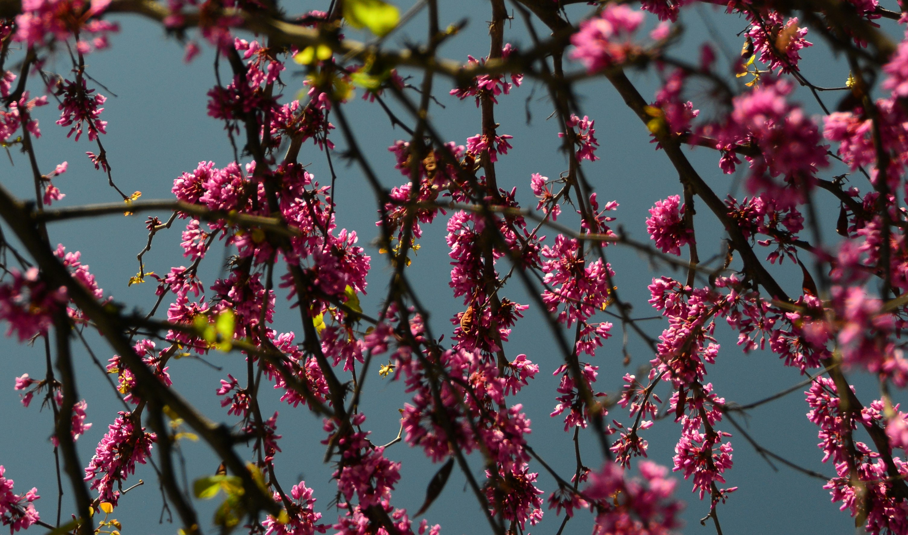 rodrig moss (@rodrig_moss) | Unsplash Photo Community