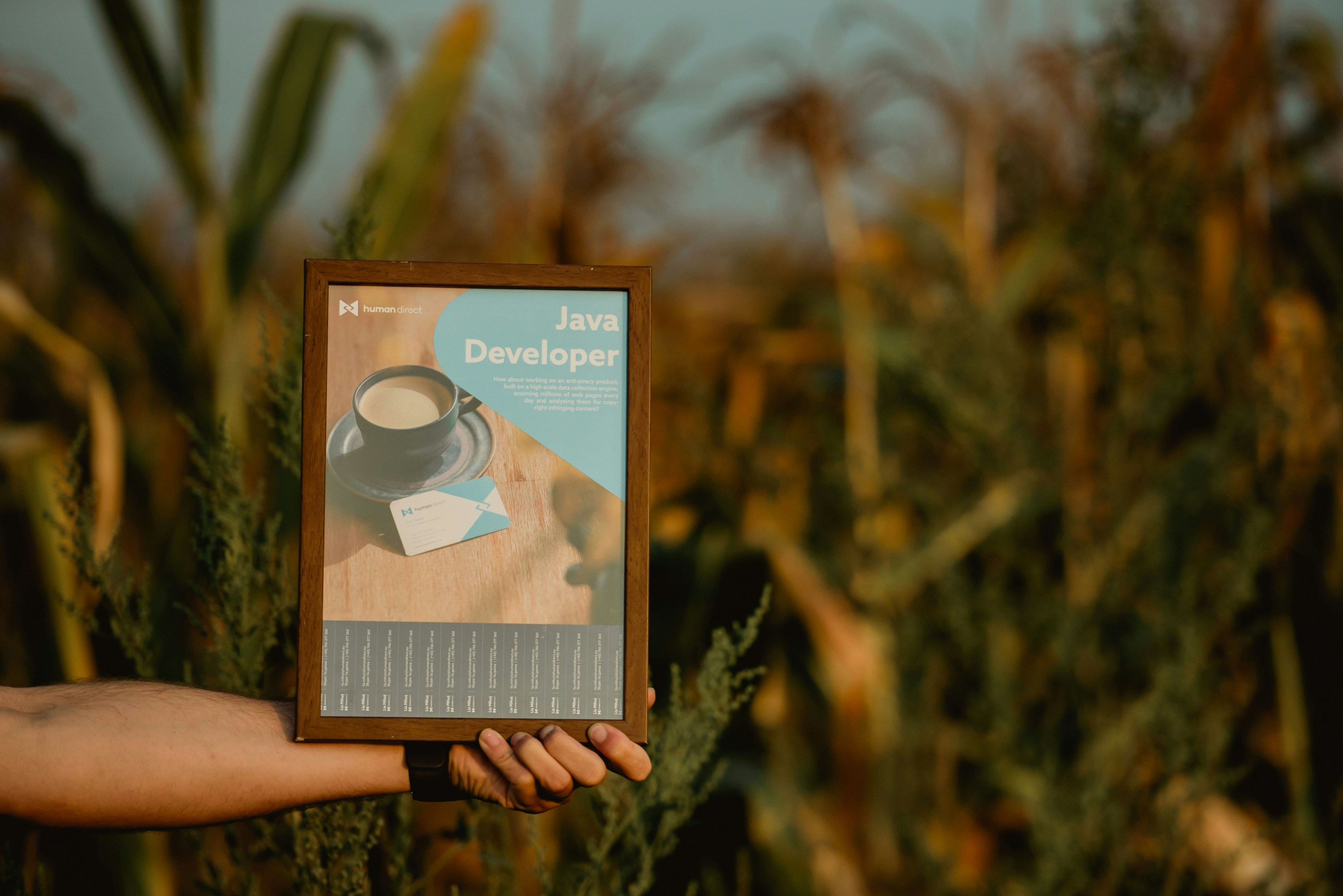 Best 100+ Java Pictures | Download Free Images on Unsplash