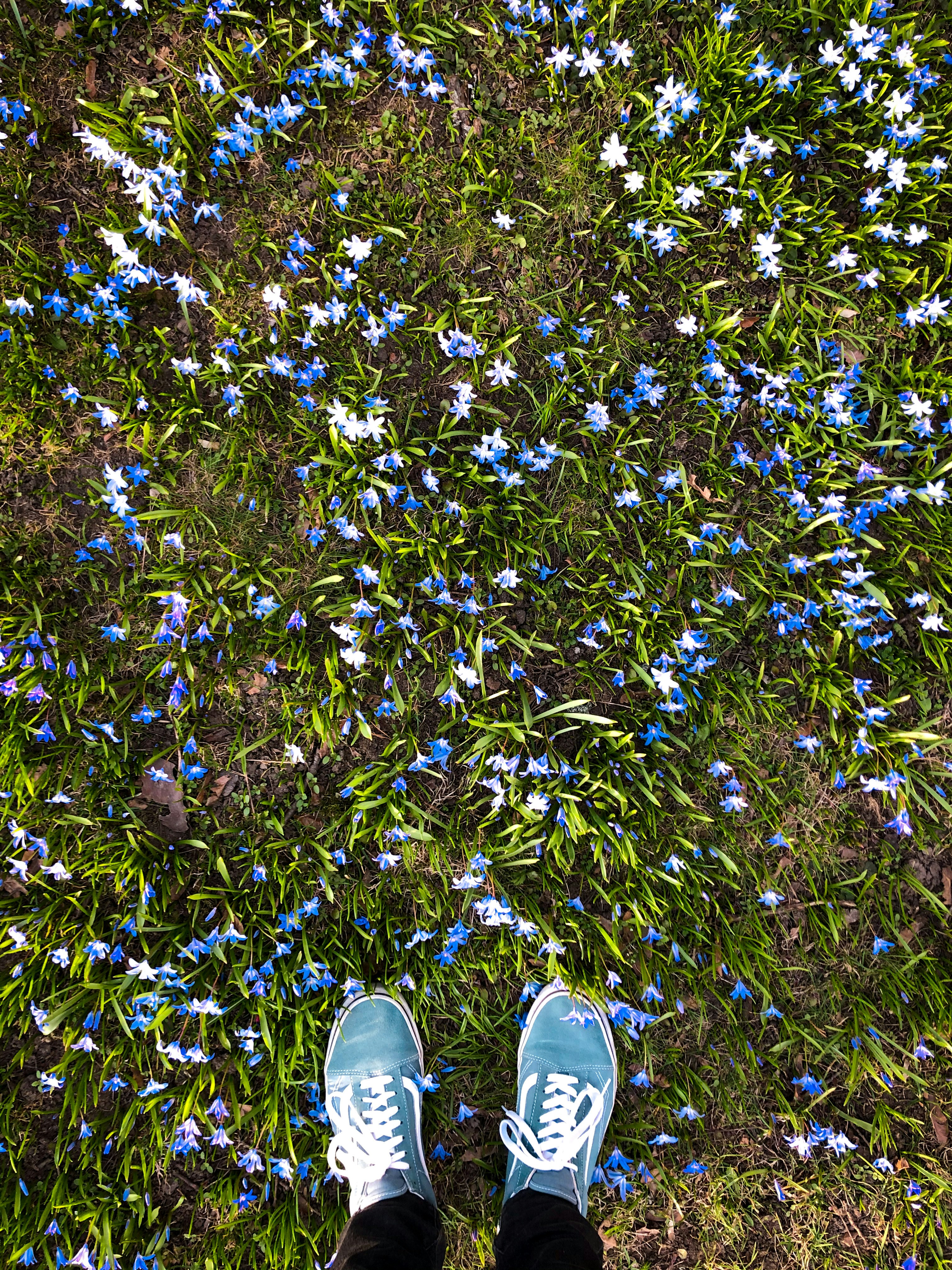 David Vargas Carrillo (@dvcarrillo) | Comunidade de fotos da Unsplash