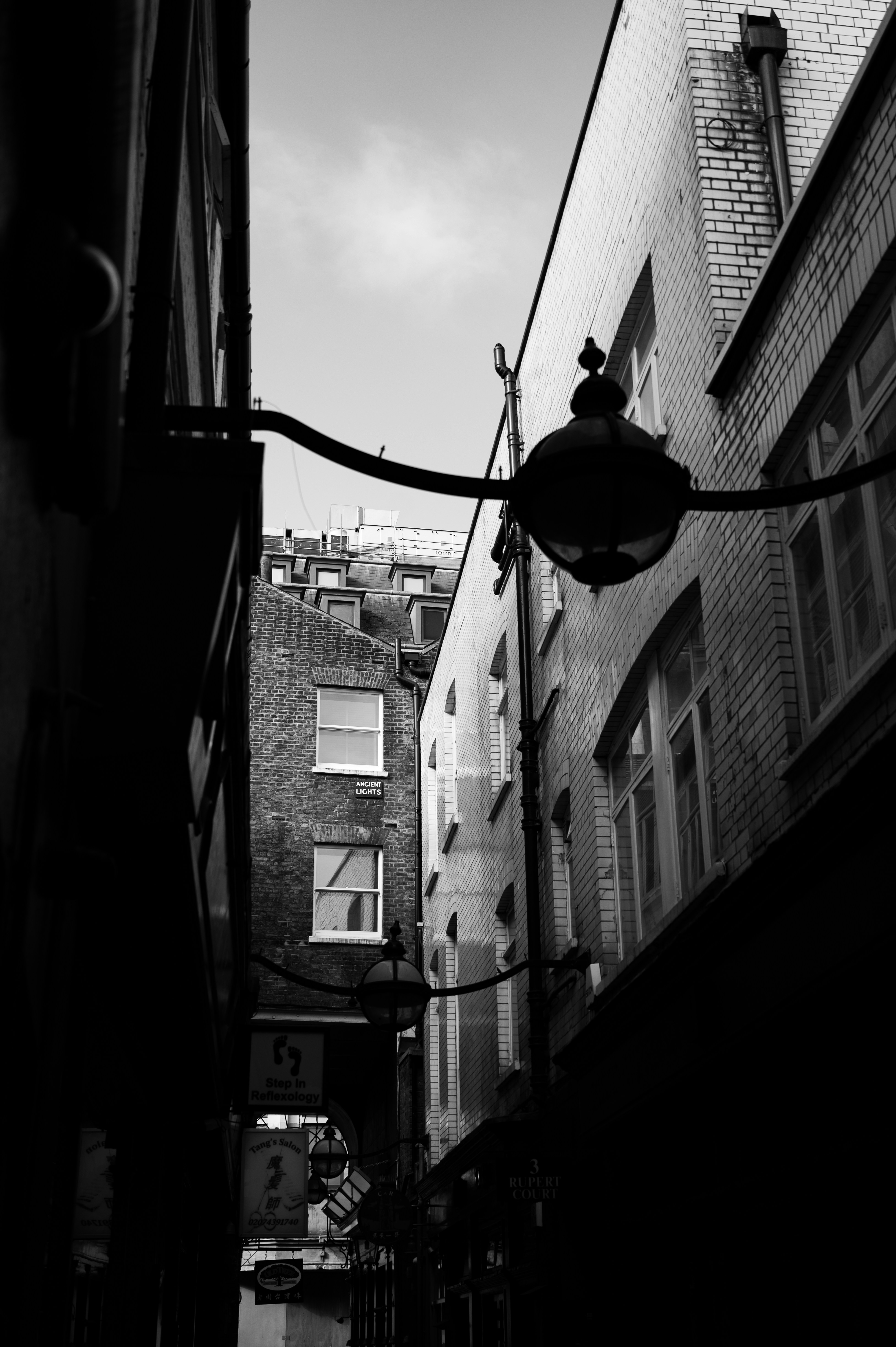 Photo by Harry Shelton with Nikon Z6 II