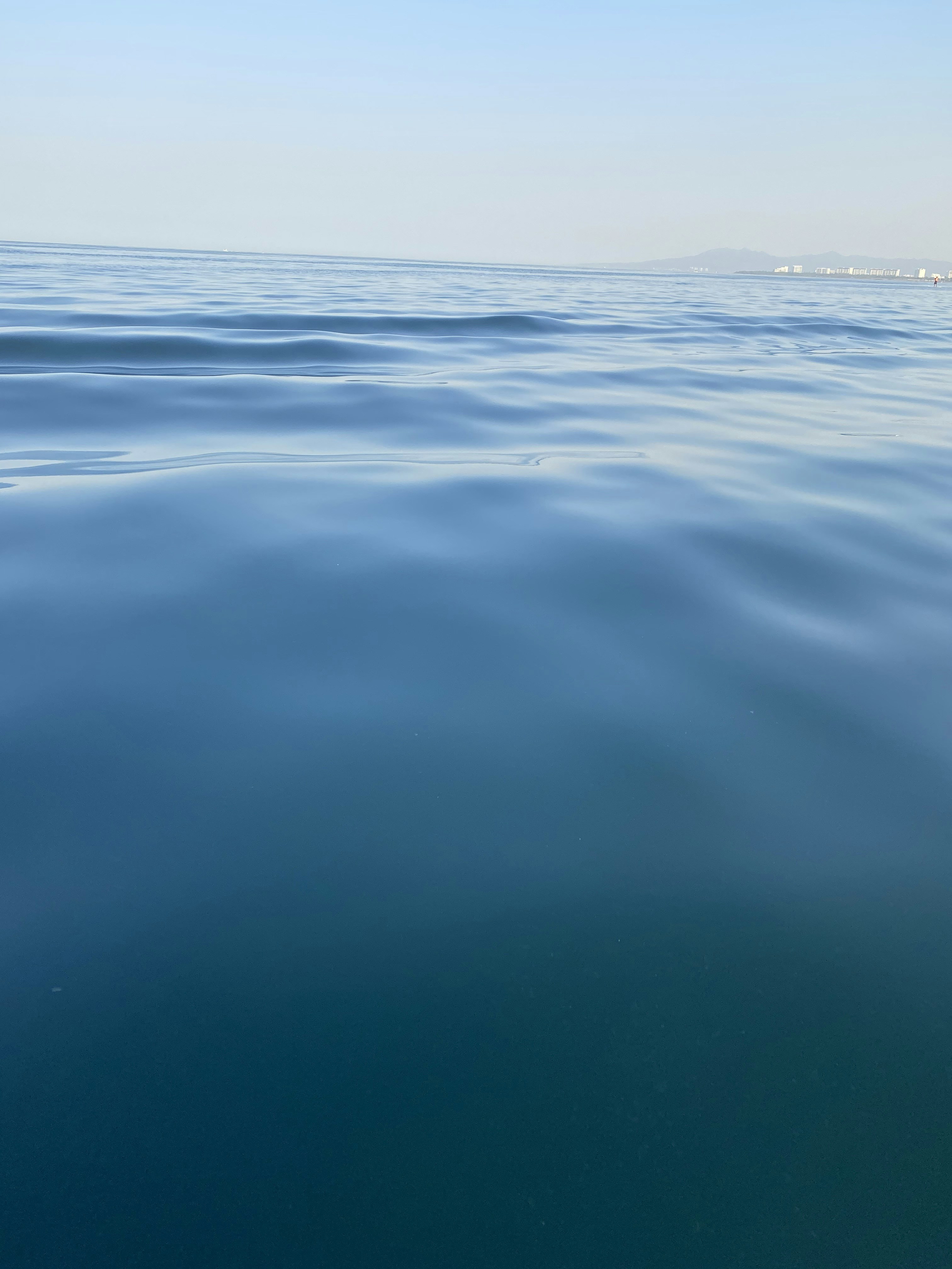 patricio davalos (@patriciodavalos) | Unsplashフォトコミュニティ