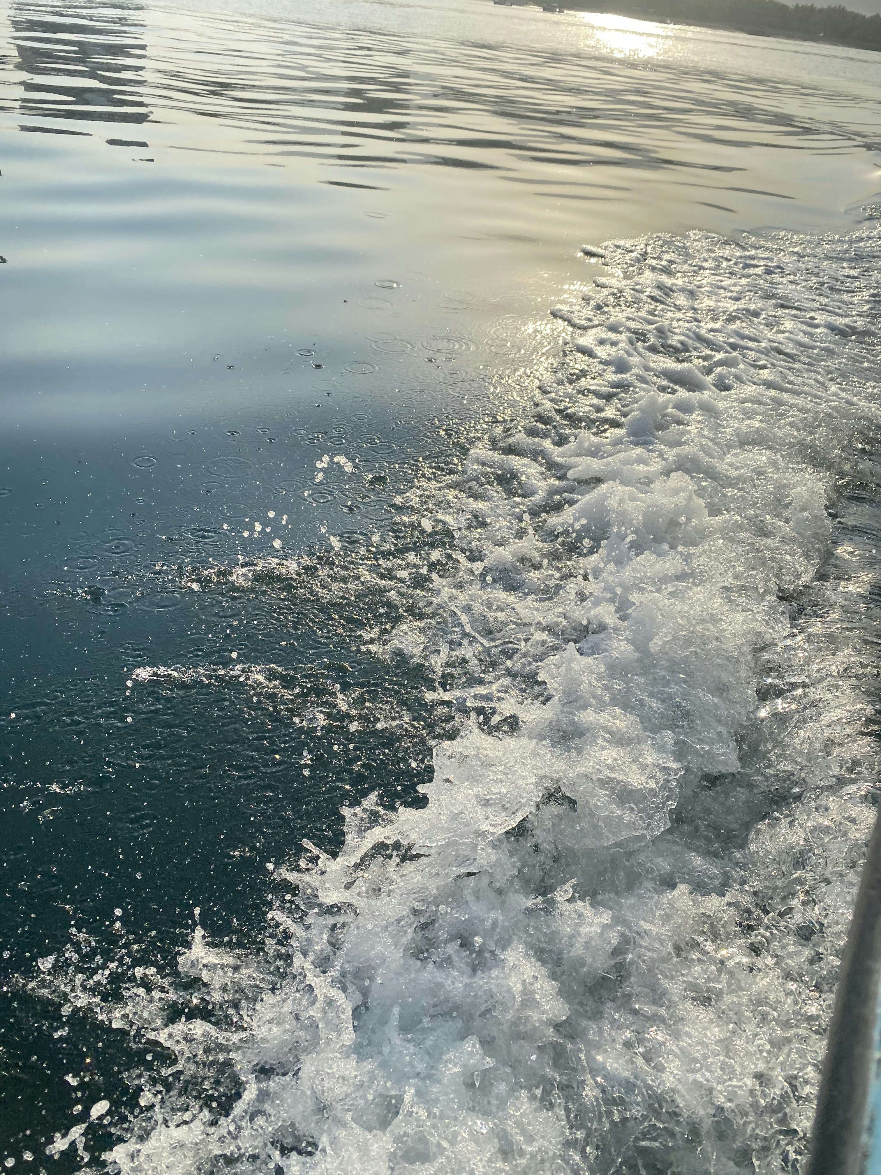 patricio davalos (@patriciodavalos) | Unsplash 사진 커뮤니티