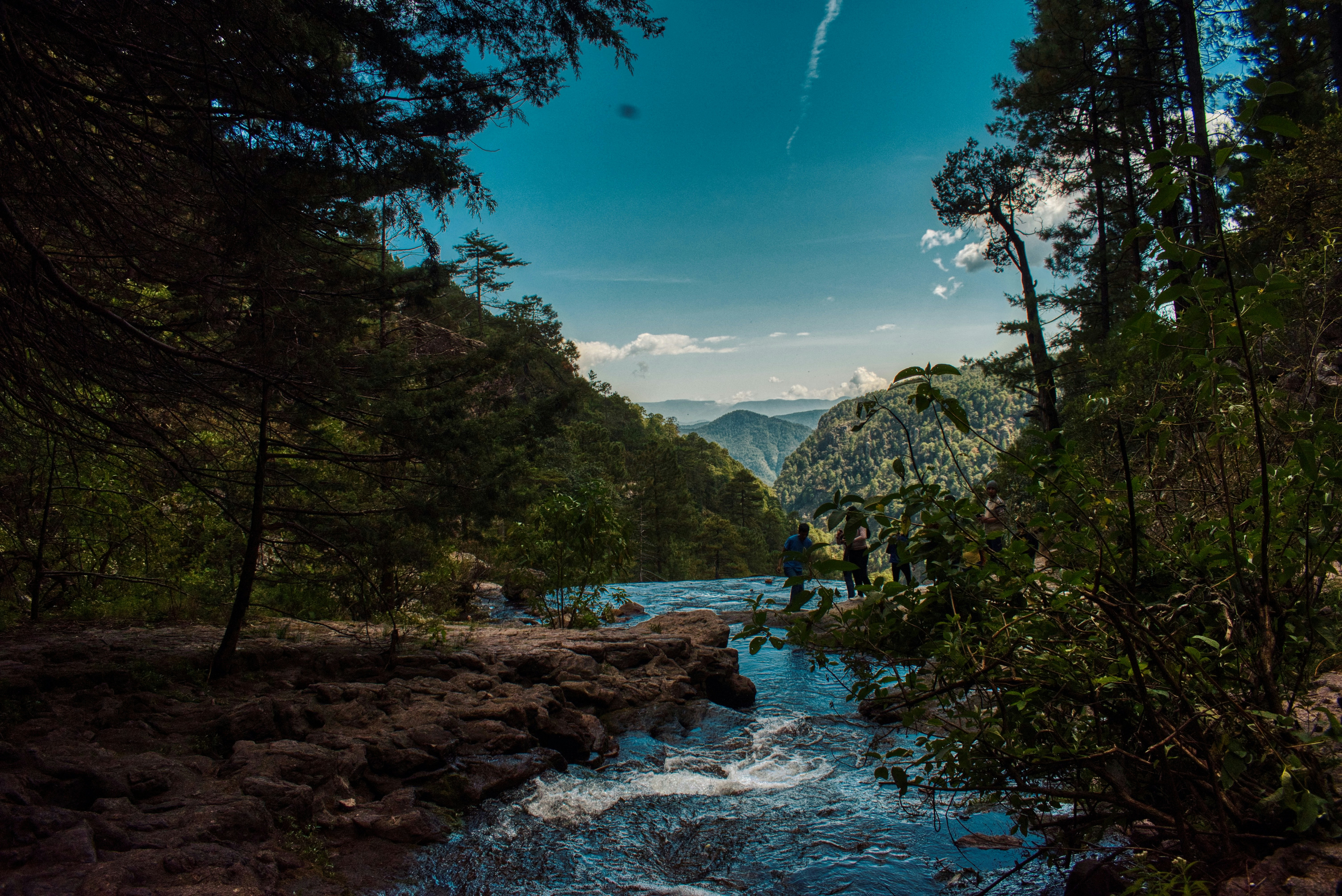Flowing stream through a lush forest with distant mountains under a bright blue sky.
