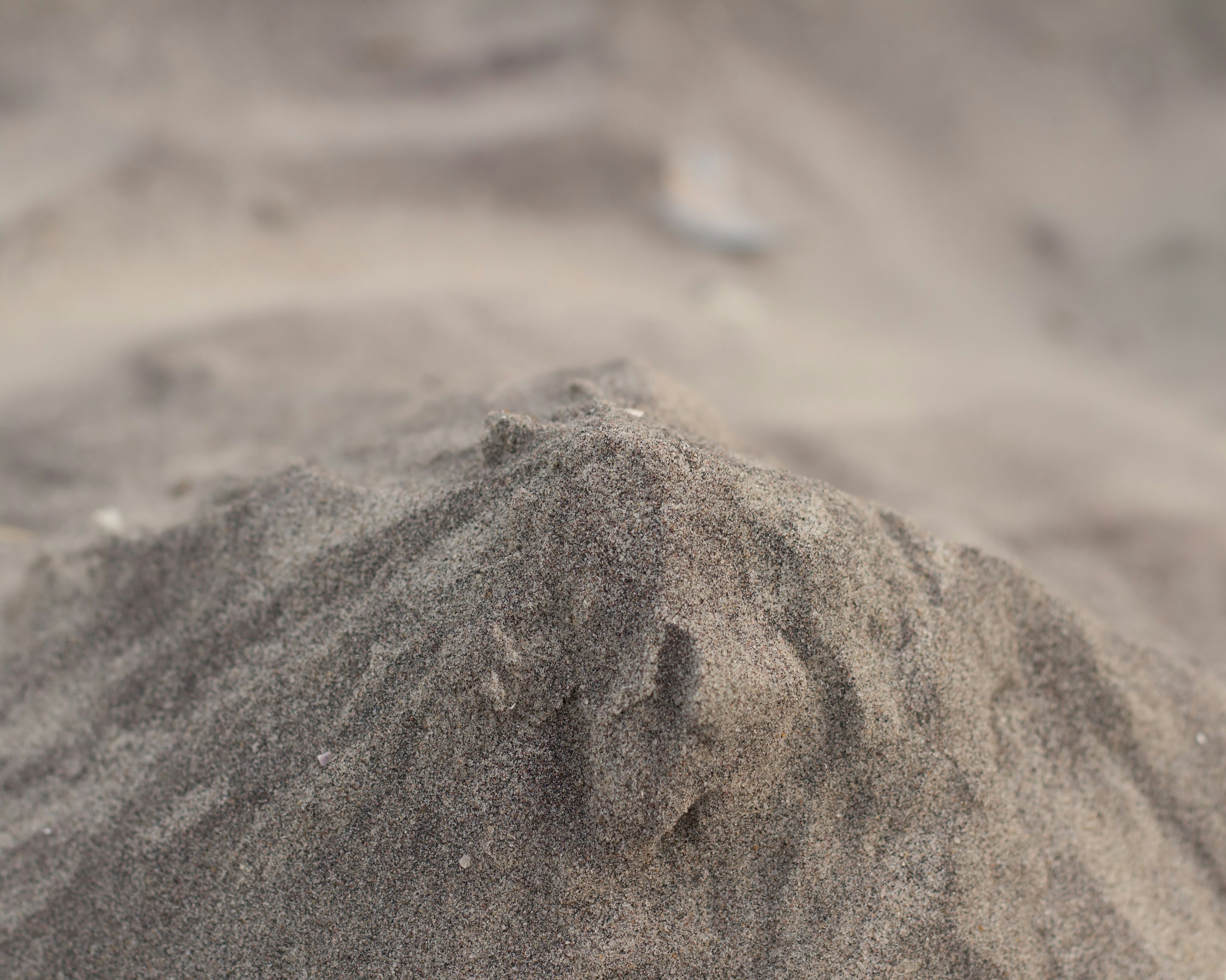 The Subtle Majesty of a Sand Dune