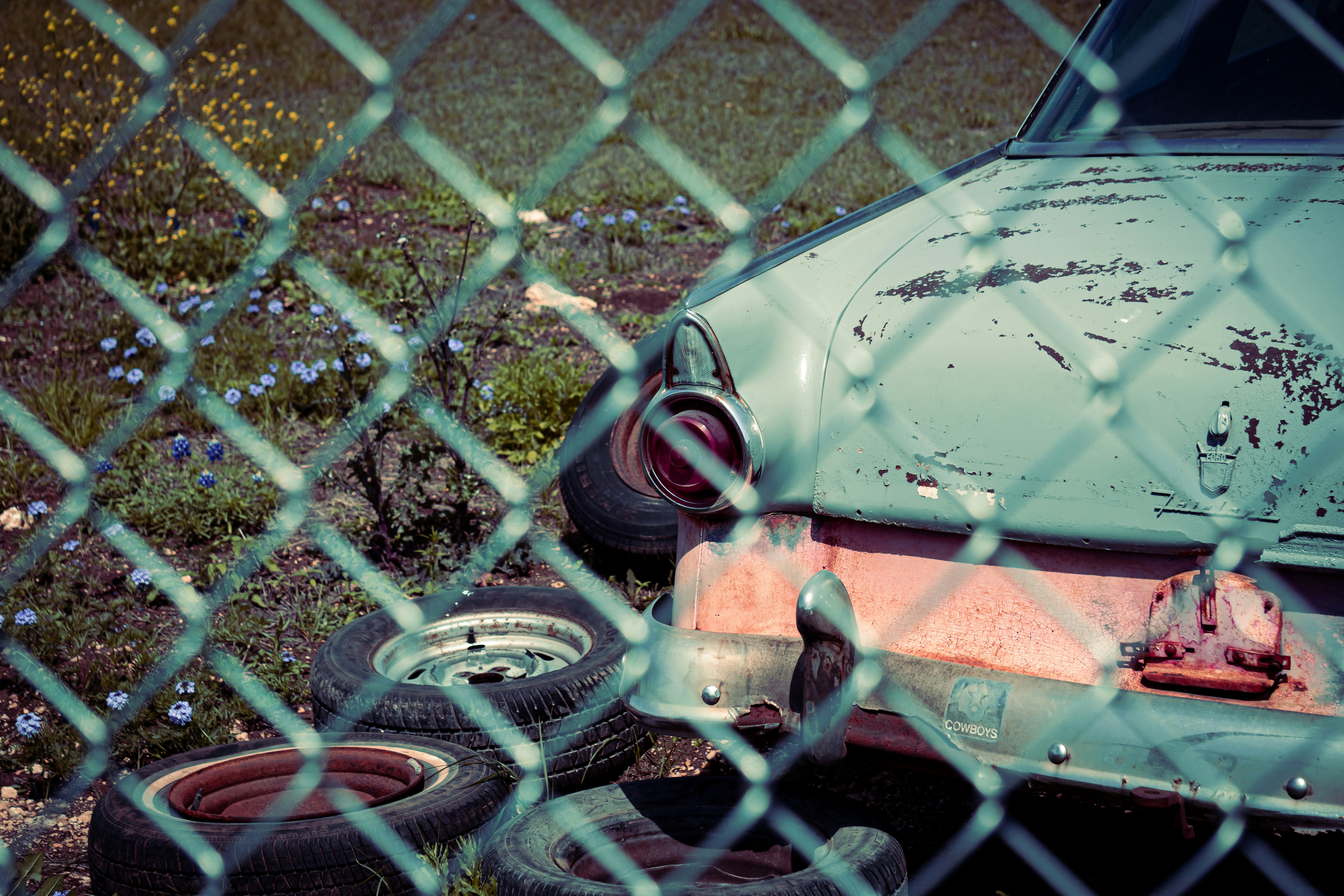 Spring and decay