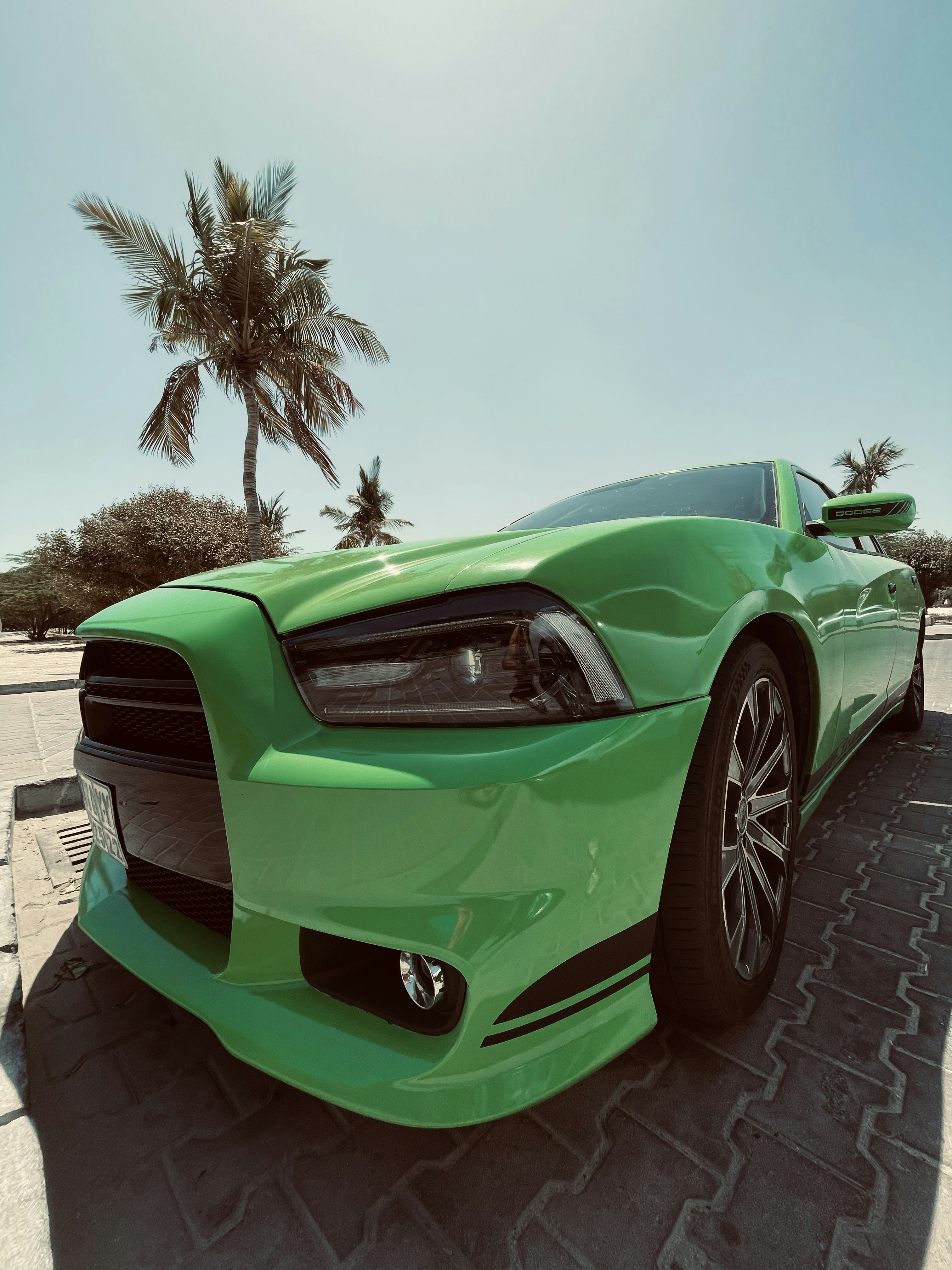 Emerald Beast at the Palm Line: a low-angle portrait of a lime-green convertible