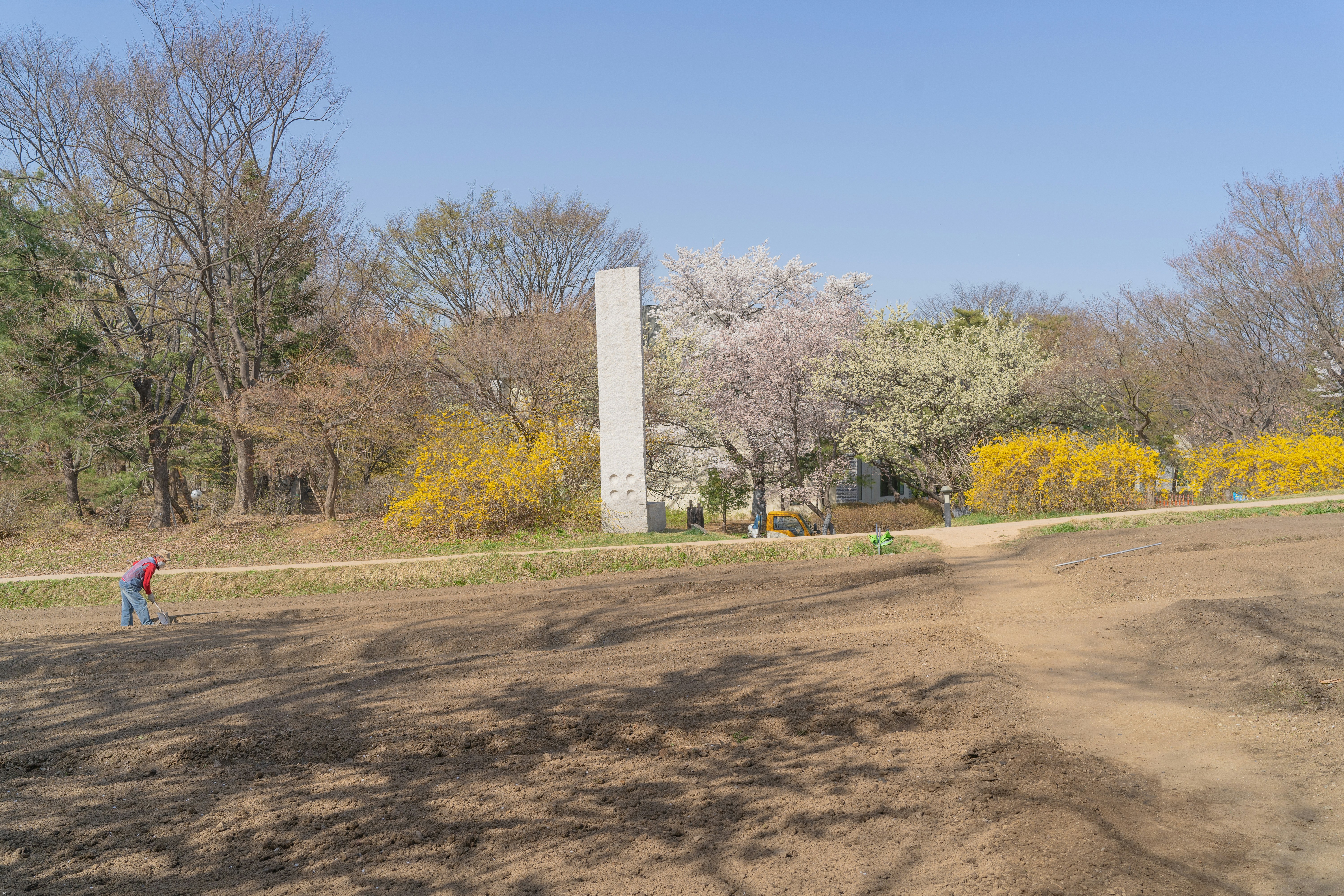 Spring Obelisk in Bloom: Quiet Park Between Shadows and Light