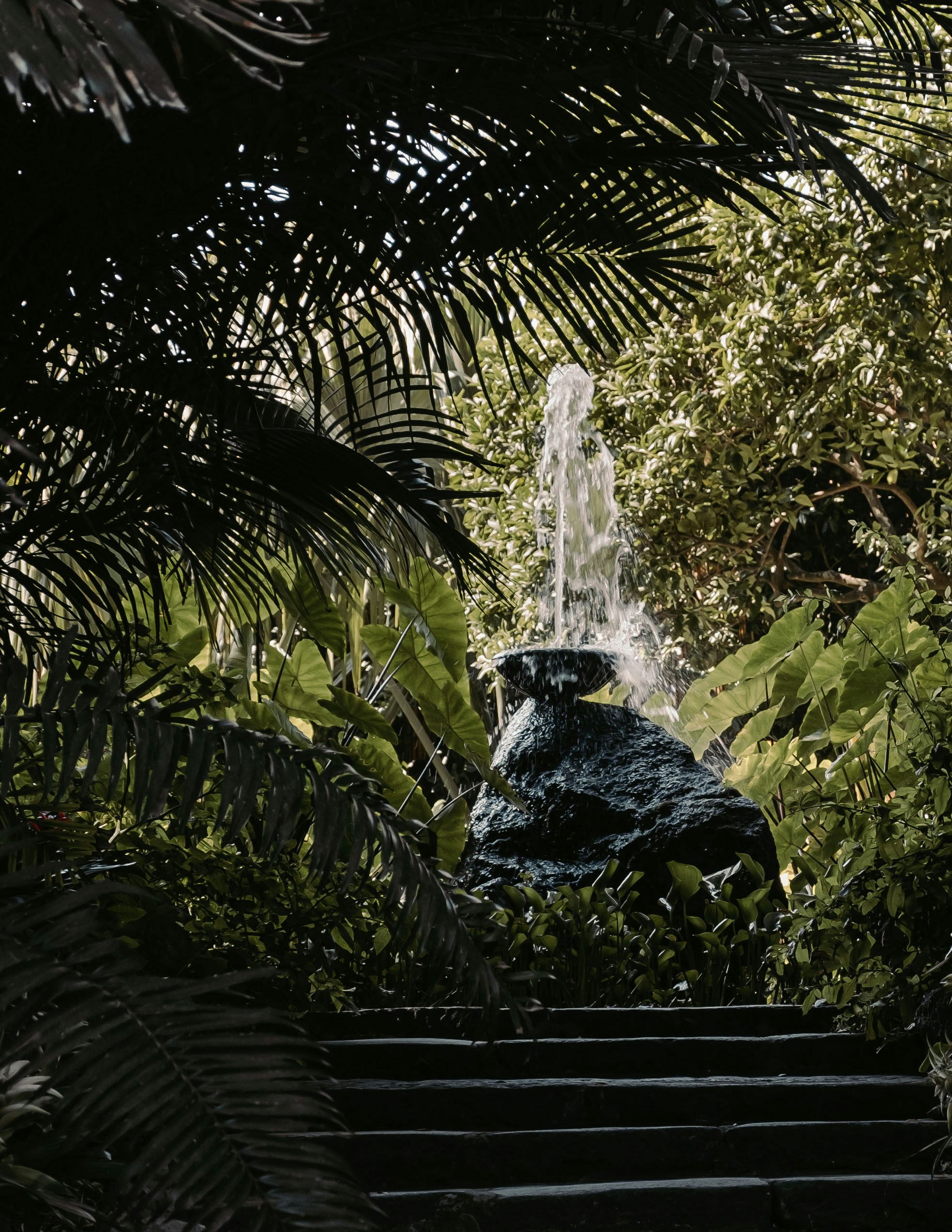 A tranquil water fountain surrounded by lush foliage and tropical plants, creating a serene garden atmosphere.