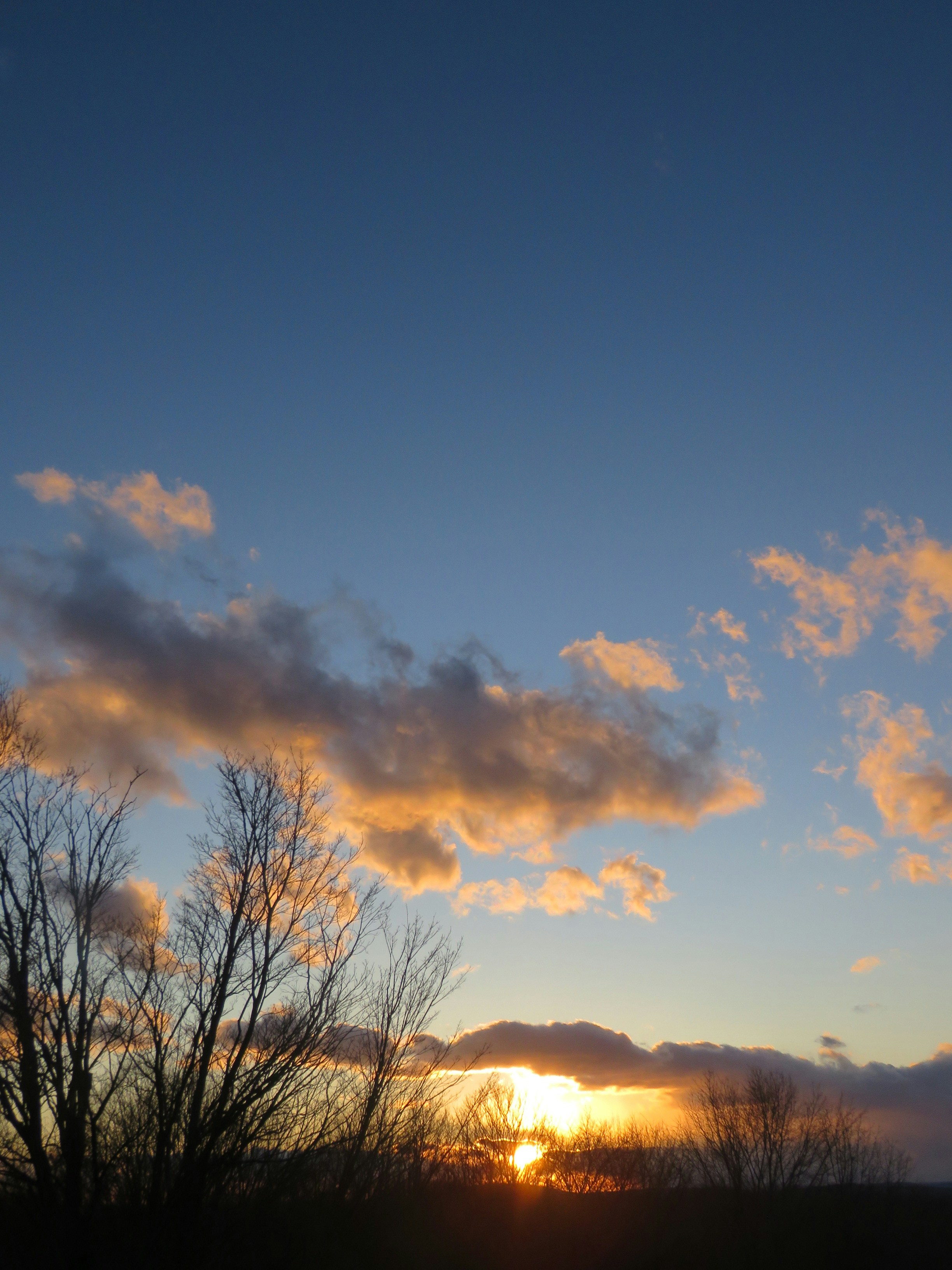 Lester Hine (@lesterhine) | Unsplash Photo Community