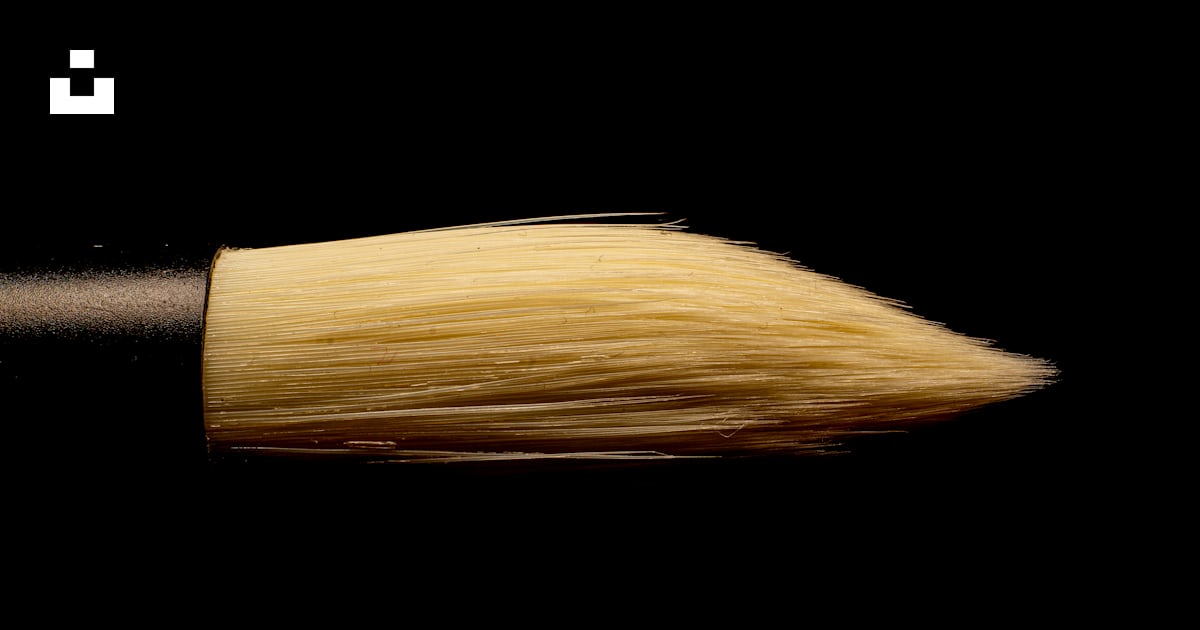 Brown Brush On White Background Photo Free Brush Image On Unsplash